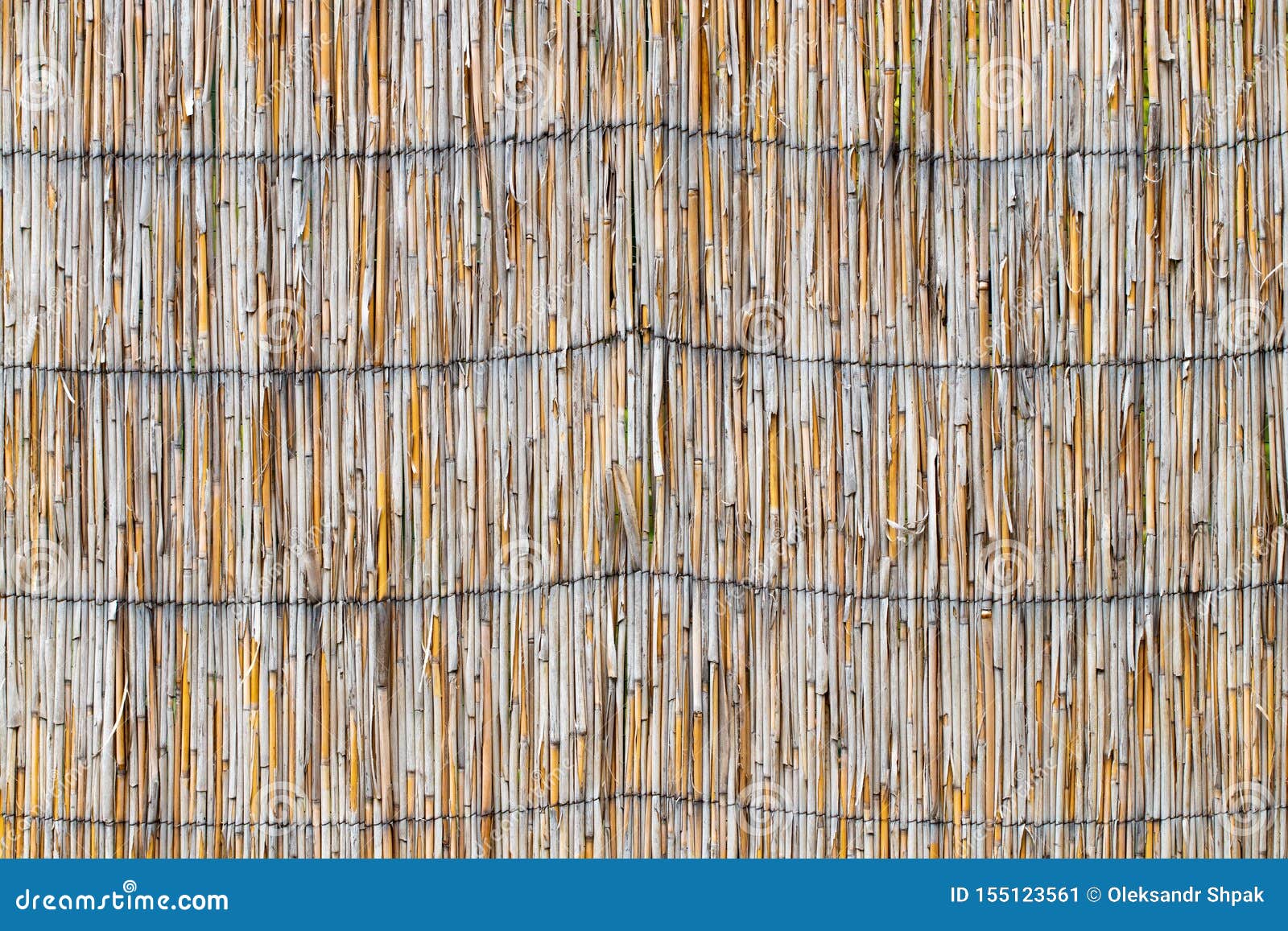 Abstract Background with Reeds, Background Texture Stock Image - Image ...