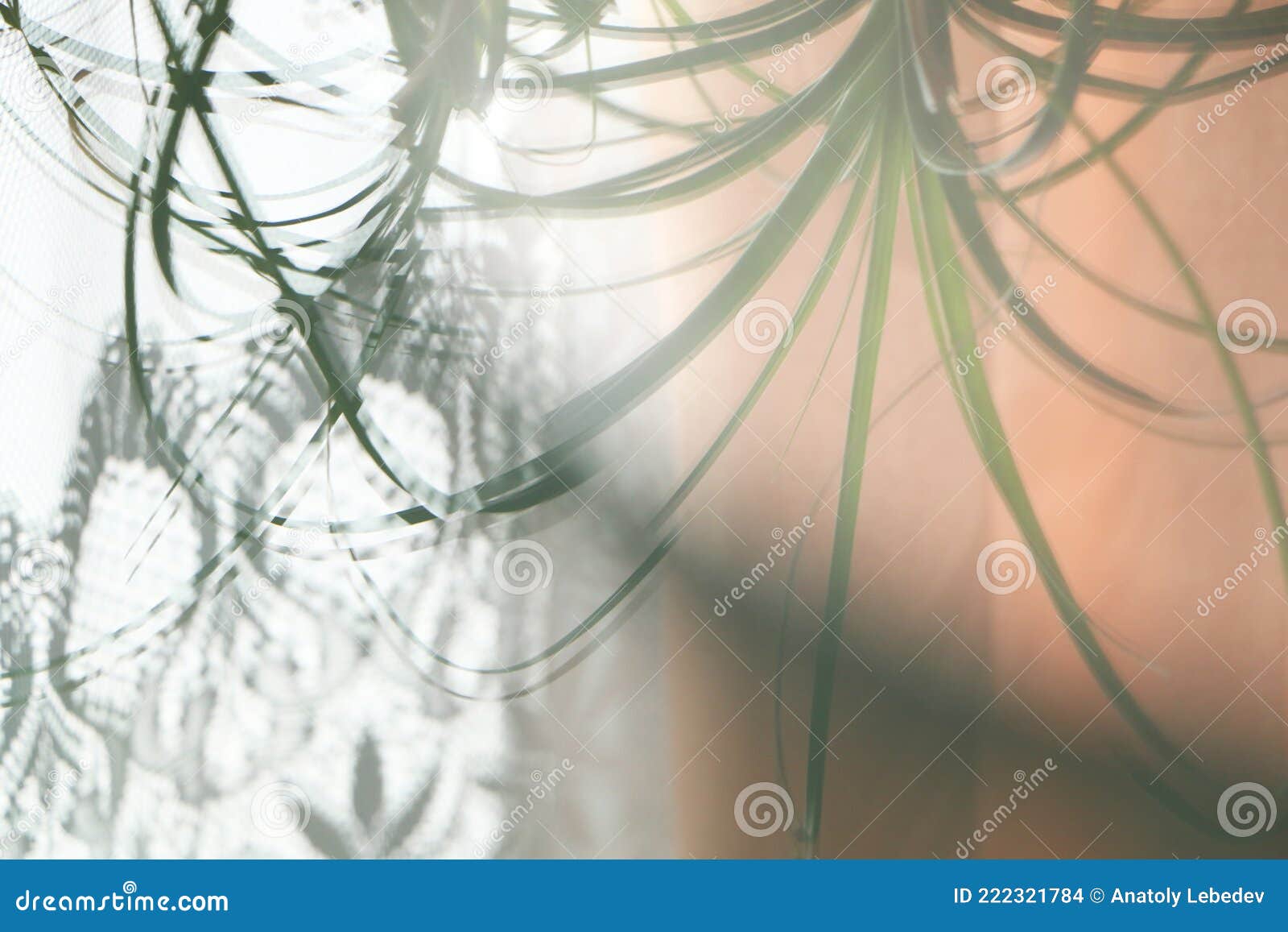 Abstract Background from Reflection in Glass of Flower and Fabric on ...