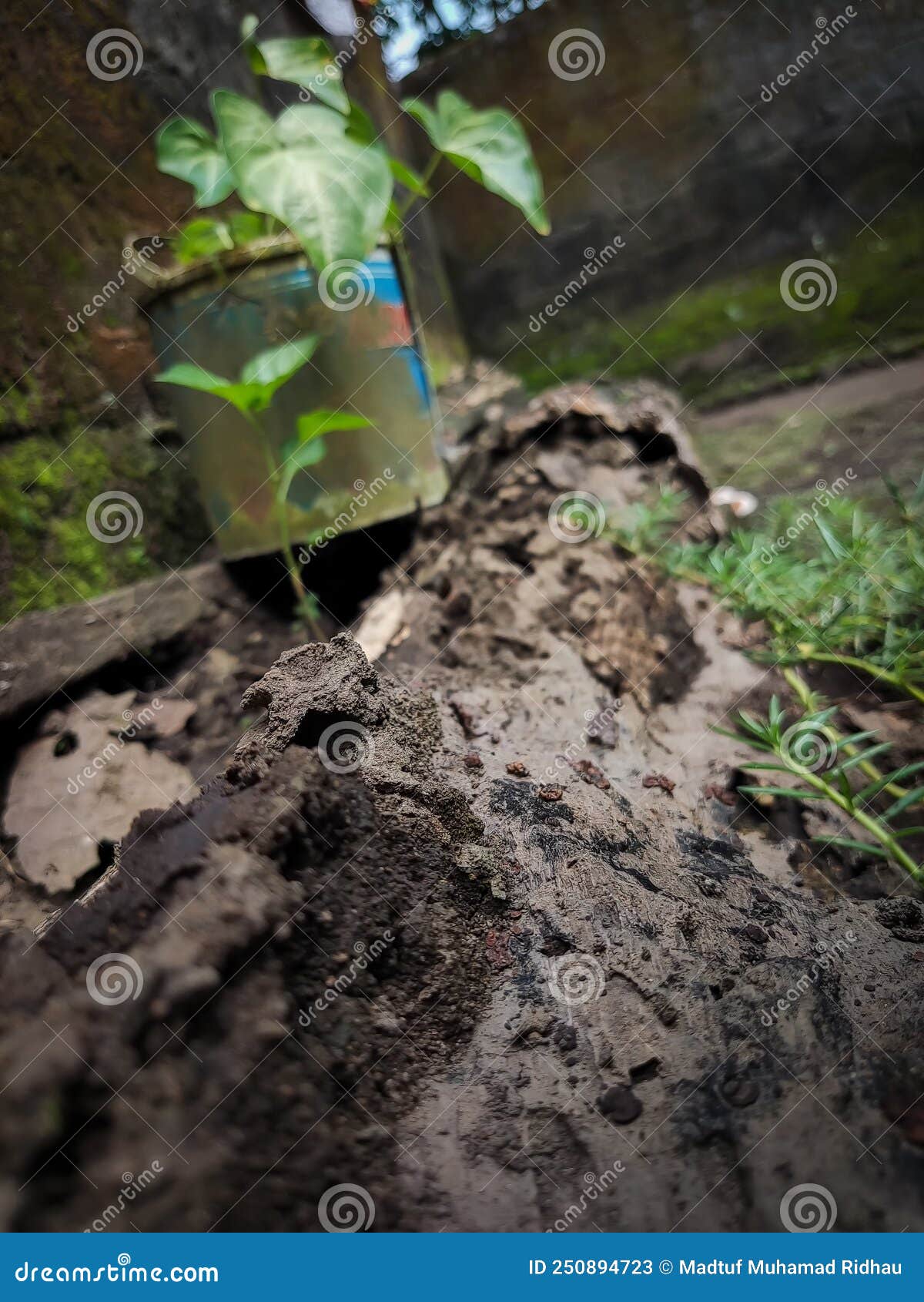 Abstract Background of Rotting Old Wooden Carcass Stock Image - Image ...