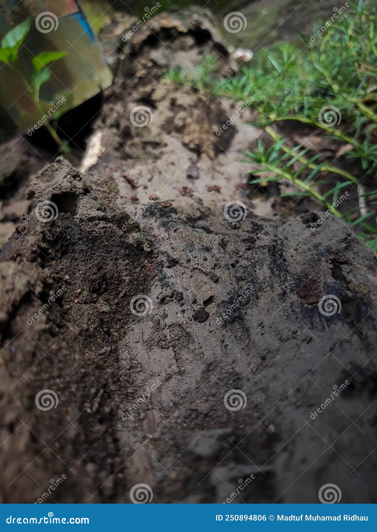 Abstract Background of Rotting Old Wooden Carcass Stock Photo - Image ...