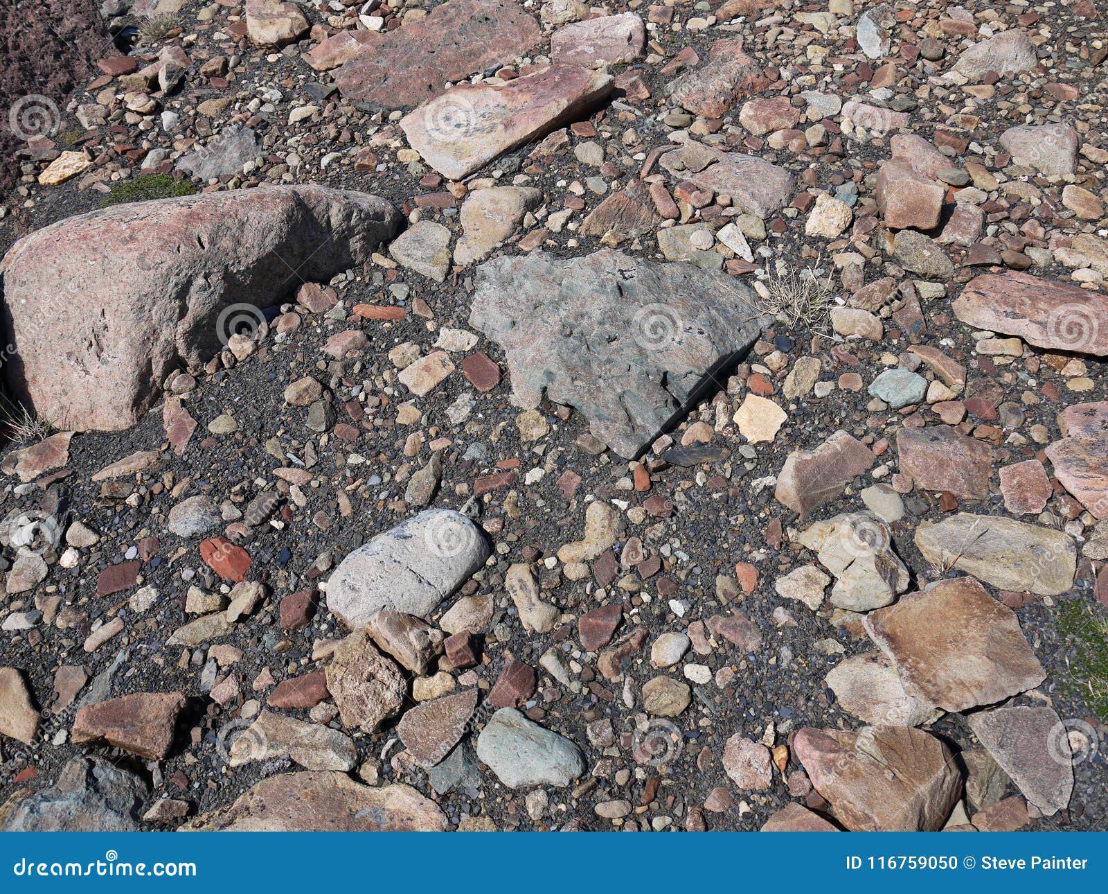 A Bumpy Section of Rocky Trail Stock Photo - Image of white, color ...