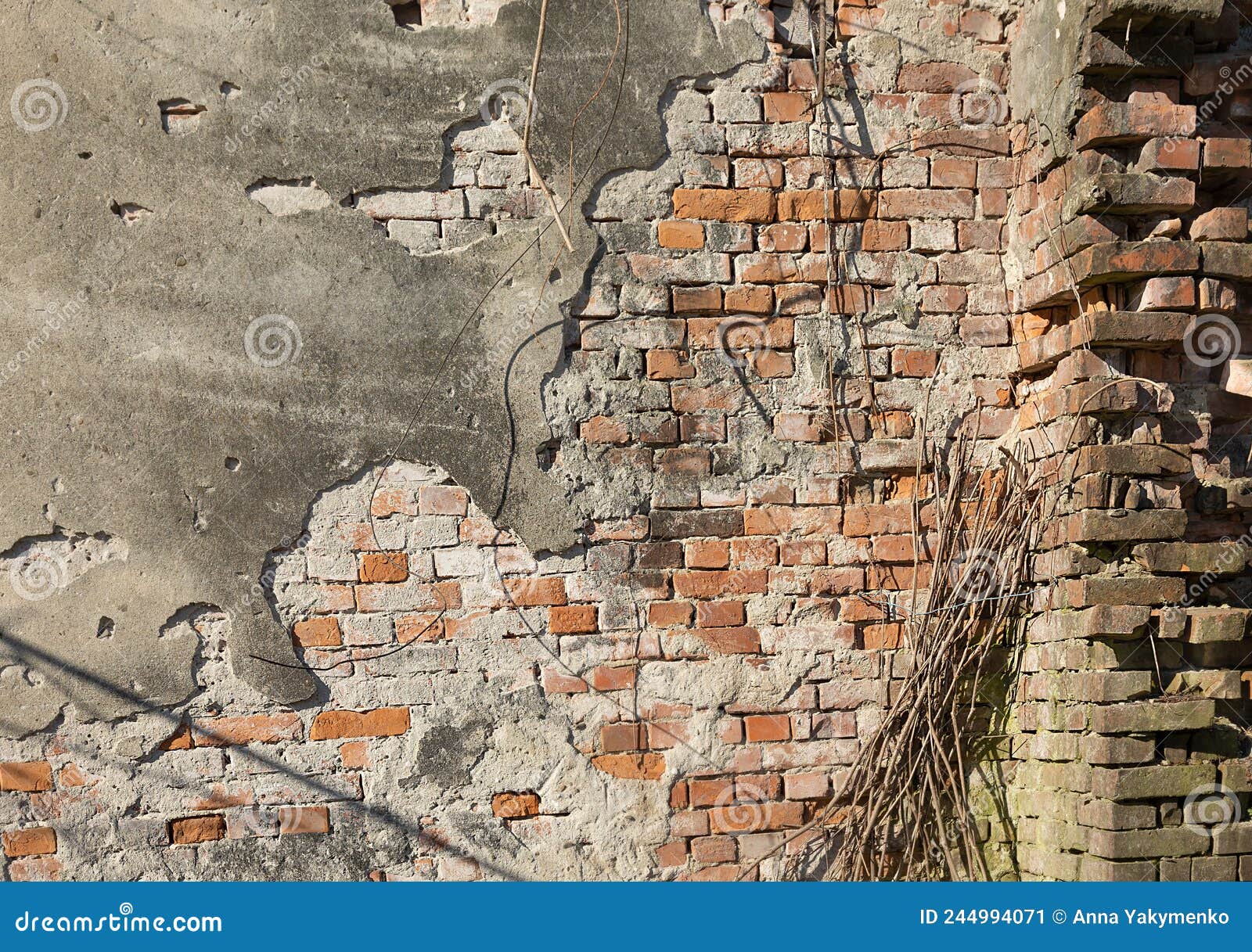 Abstract Background with a Selective Focus on Ruined Plaster on the ...