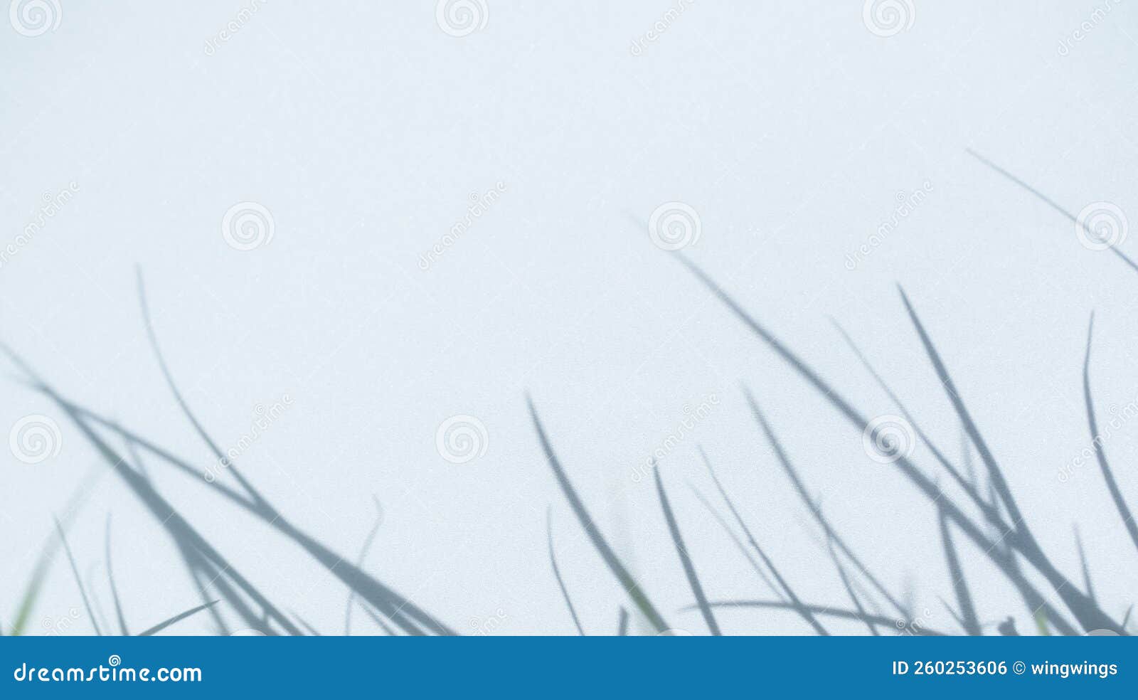 Abstract Background Shadow Leaves from Window House Effect Stock Photo ... Abstract Background Shadow Leaves from Window House Effect Stock Photo ...