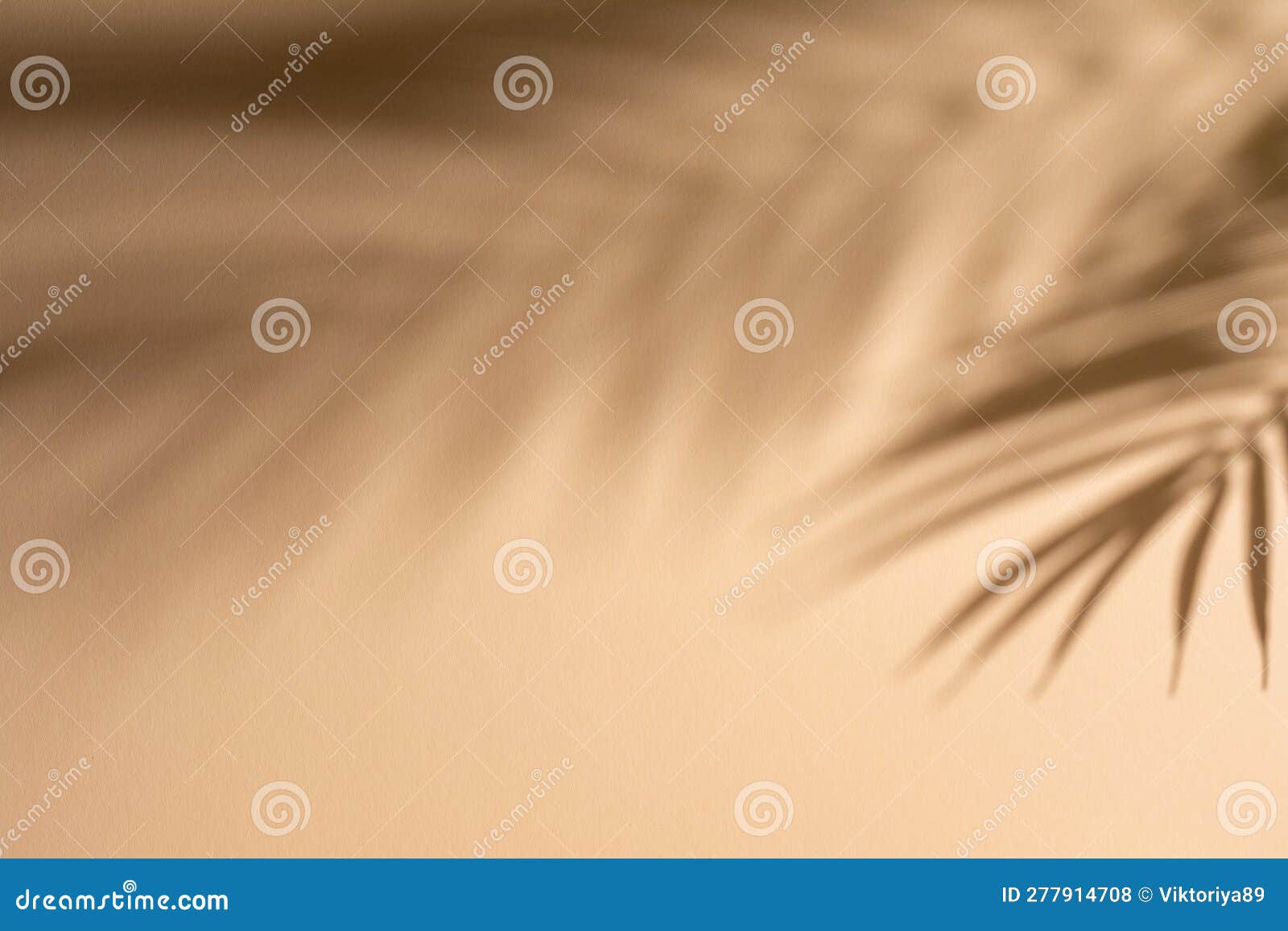Abstract Background of Shadows Palm Leaves on a Sand Color Wall Stock ...