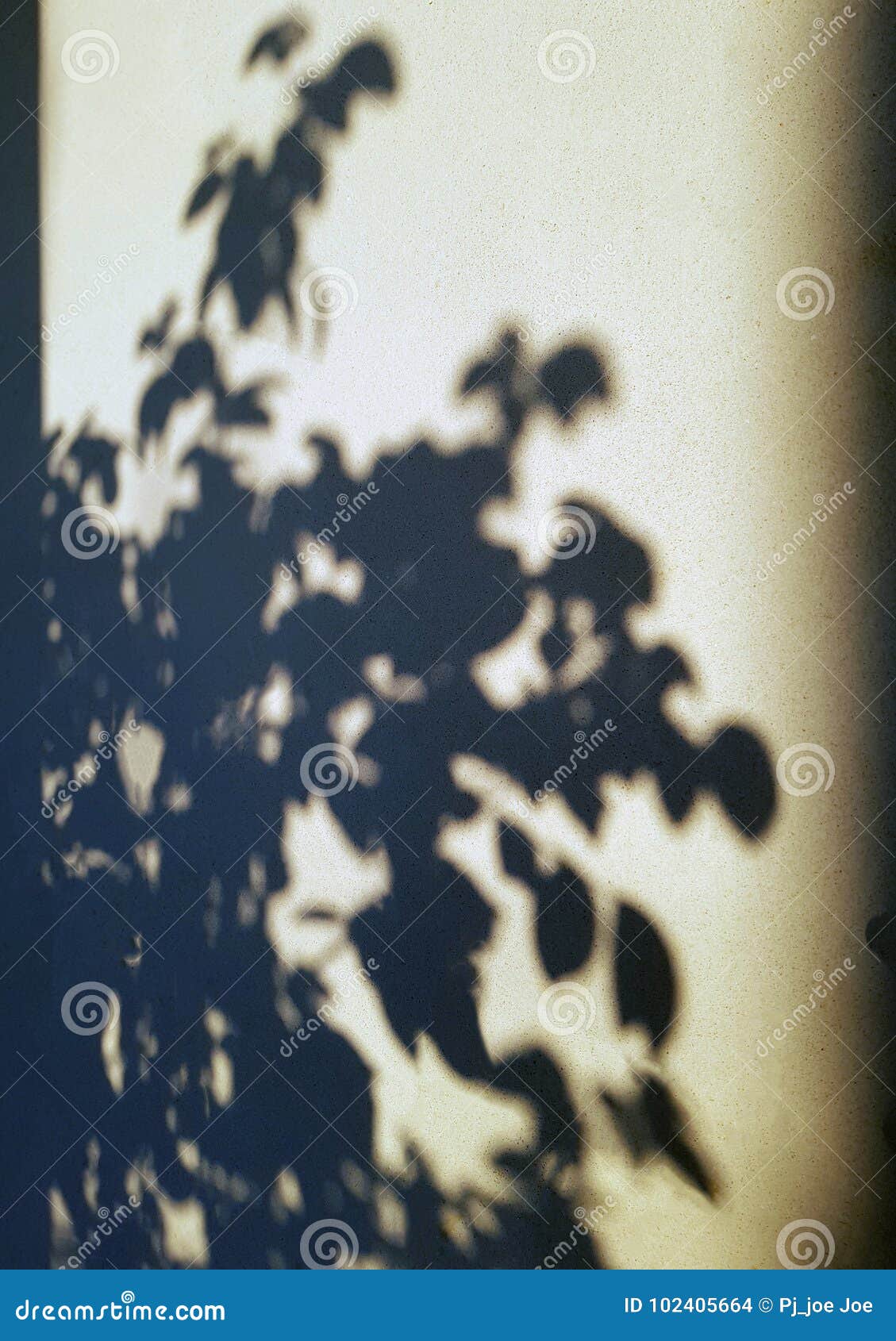 The Shadow of a Tree on a Wall Stock Photo - Image of craft, blank ...
