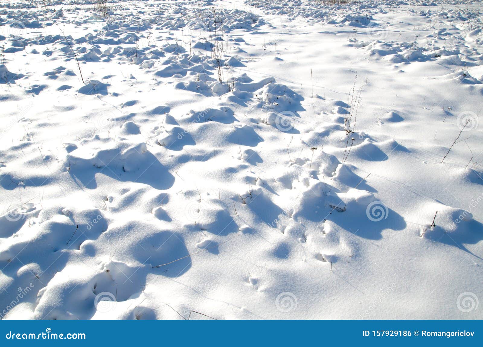 Snow field stock photo. Image of field, shadow, abstract - 157929186