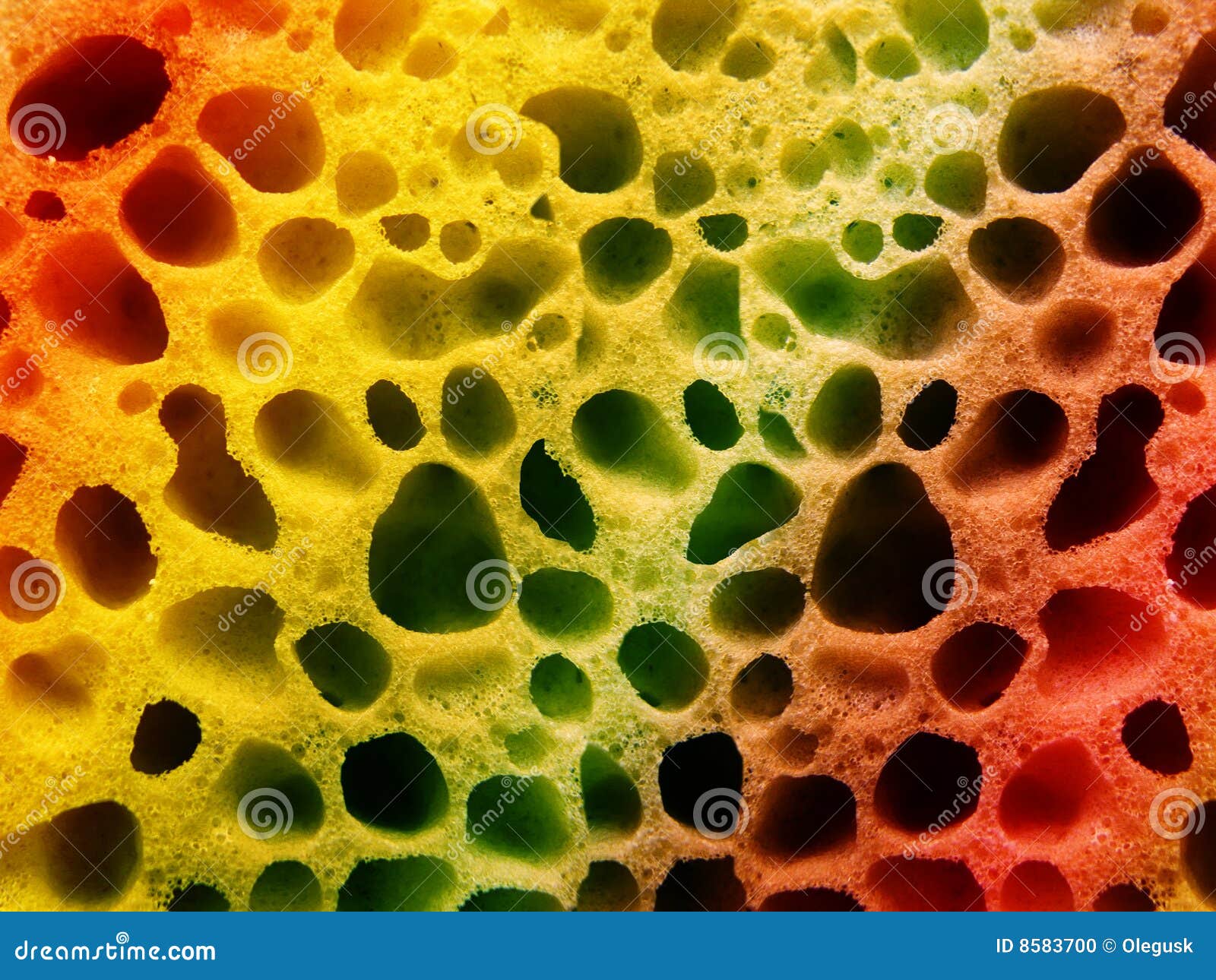Abstract Background a Sponge from Polymer Stock Photo - Image of relief ...