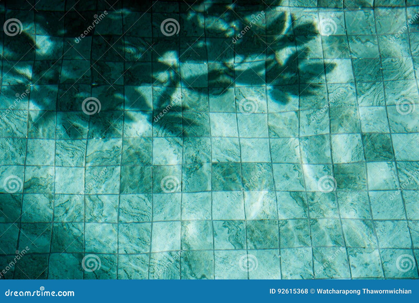 Abstract Background of Swimming Pool Tile Stock Photo - Image of ...