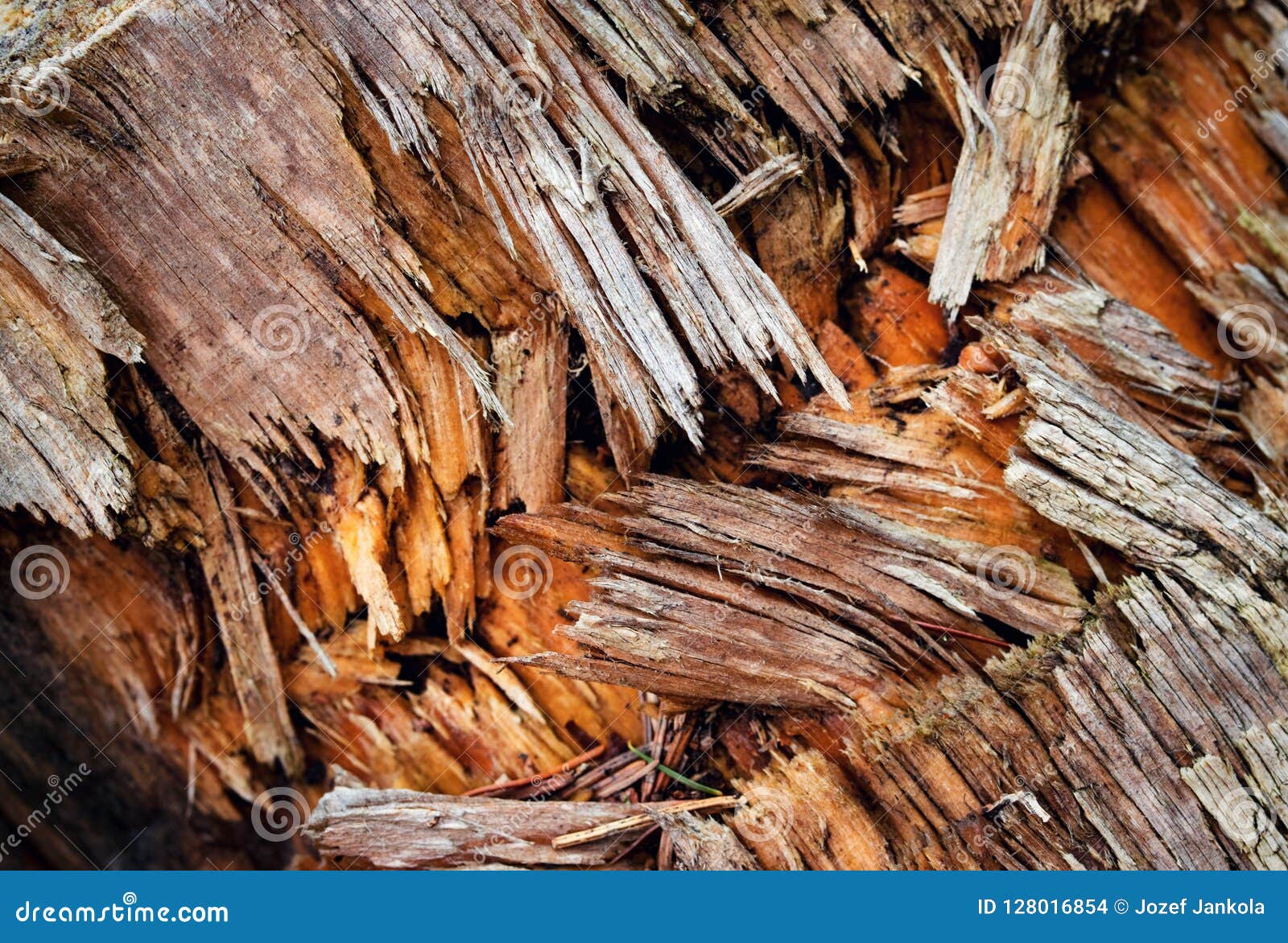 156 Breaking Wood Texture Pattern Background Stock Photos - Free ...