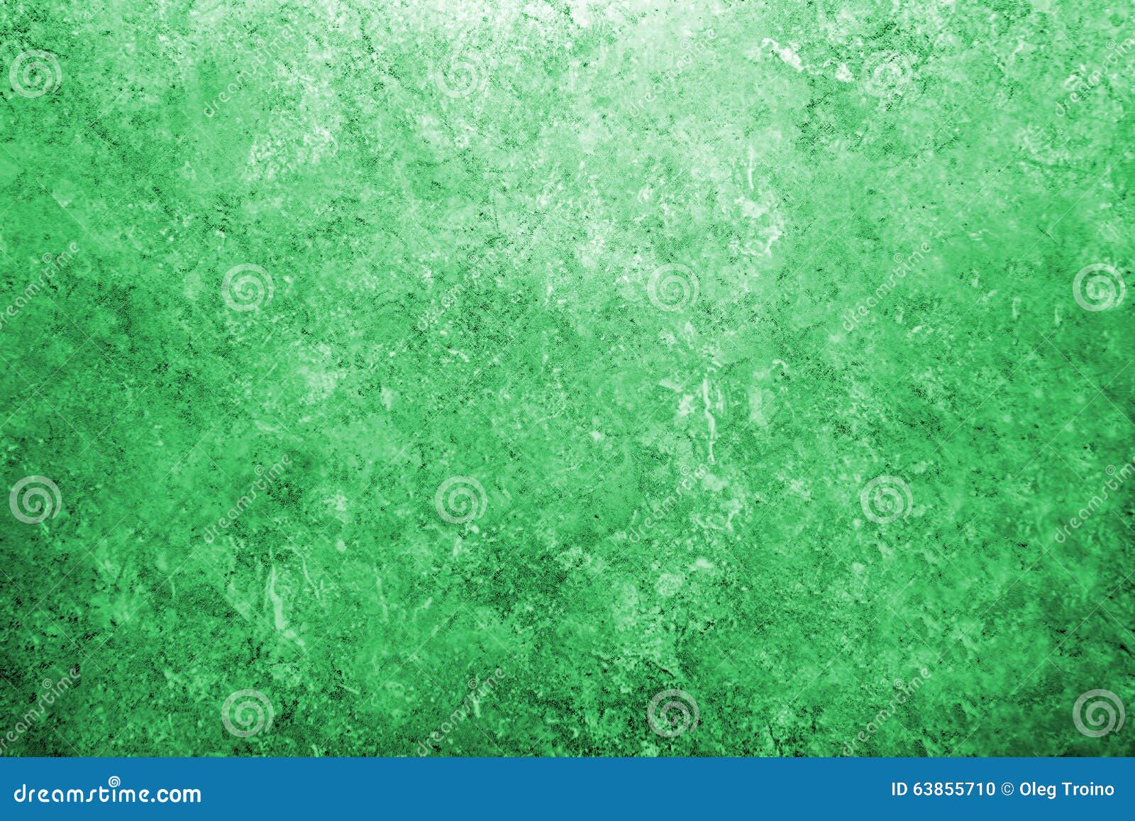 Texture Of Red And Green Leaves. Hedge Close-up. Background Of Leaves ...