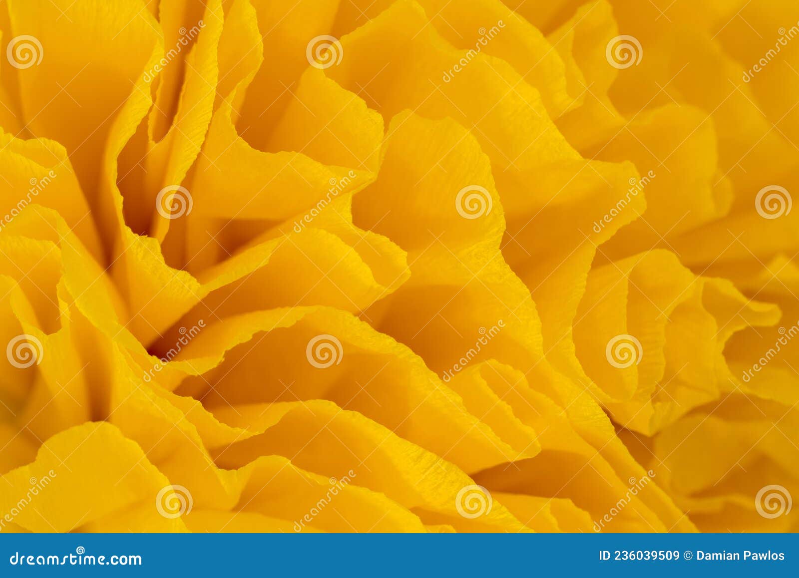 Abstract Background Texture Made from Yellow Crepe Paper Stock Image ...