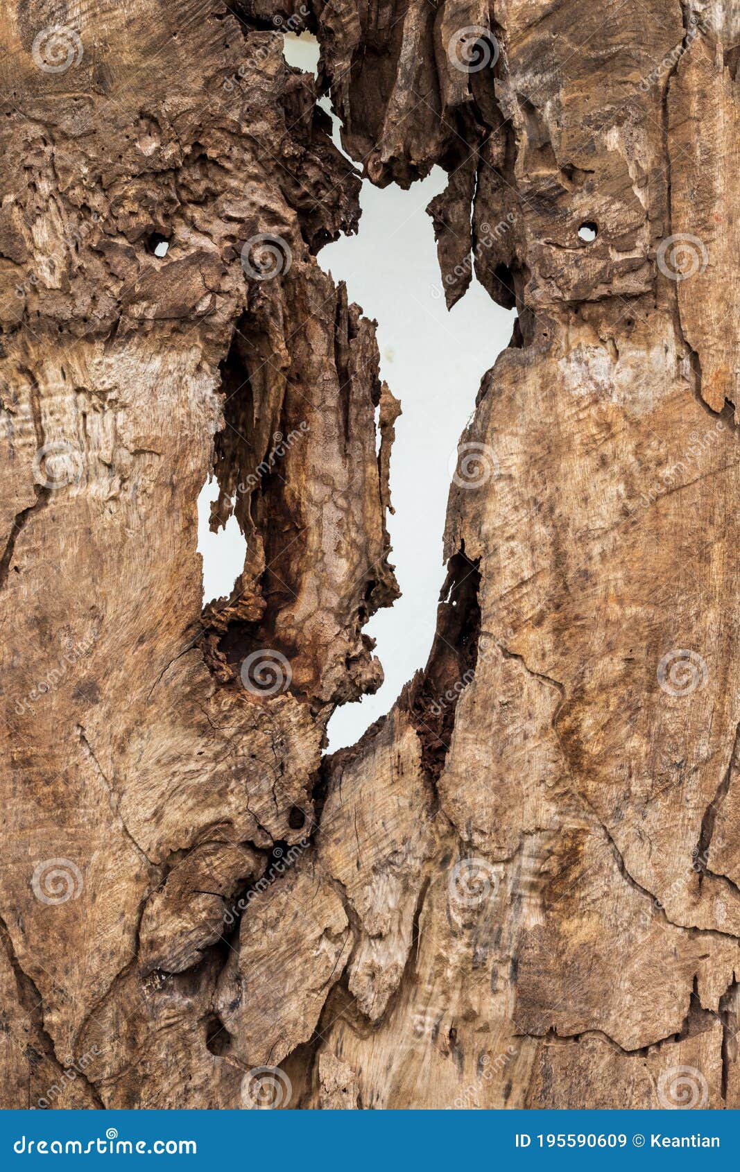 Old Wooden Background Decayed, Indented Like a Human Face. Stock Image ...