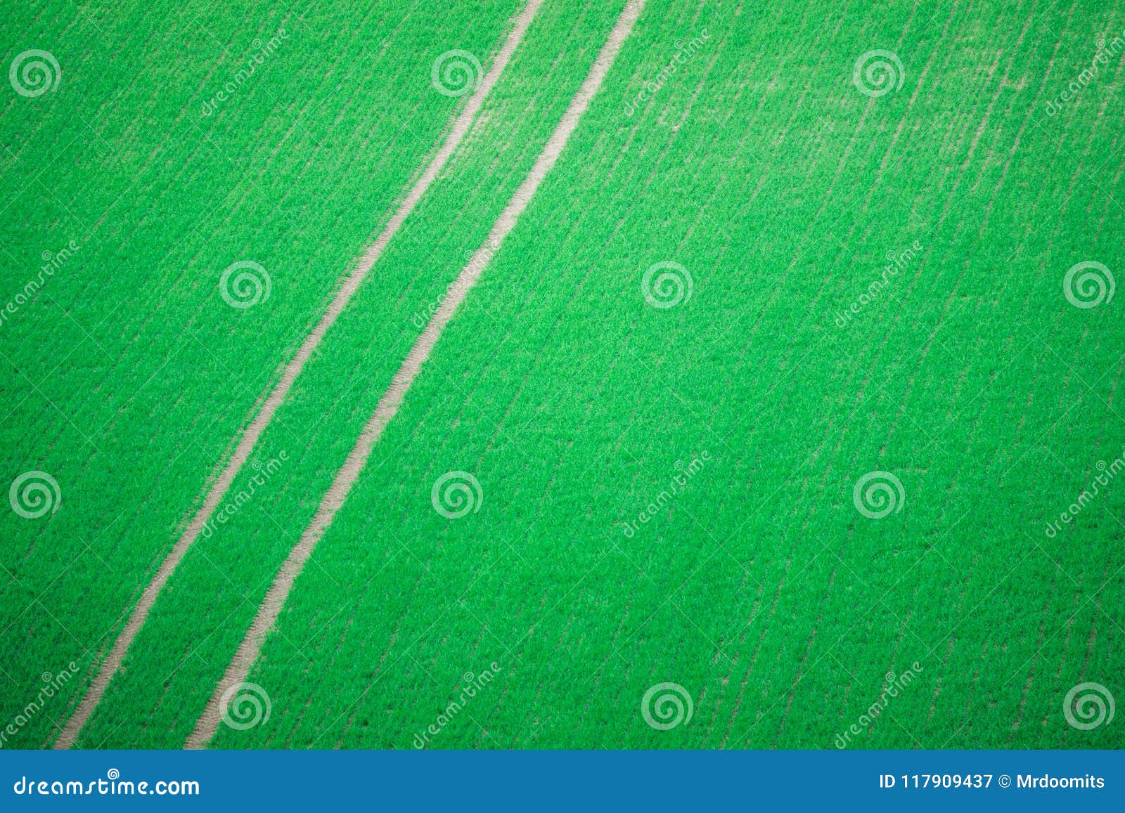 Tractor Tracks through Crops Stock Image - Image of field, country ...