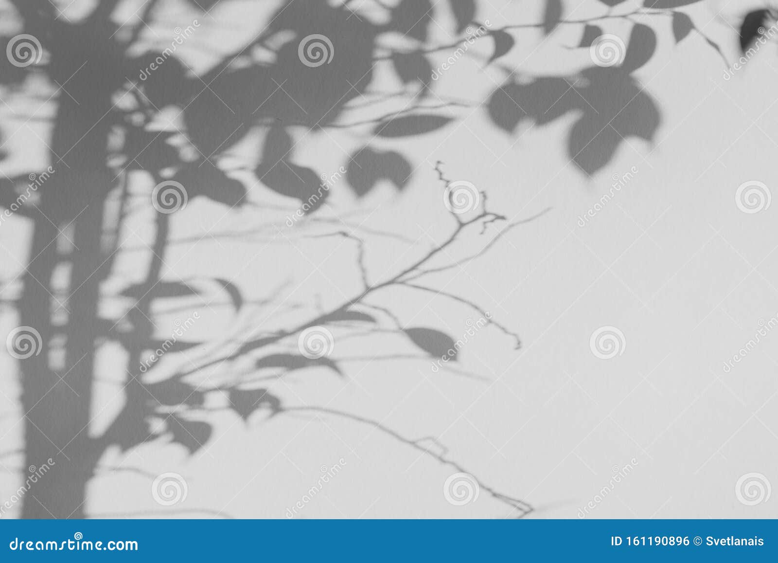 Abstract Background of Tree Branches Shadows on Wall. Modern Grey ...