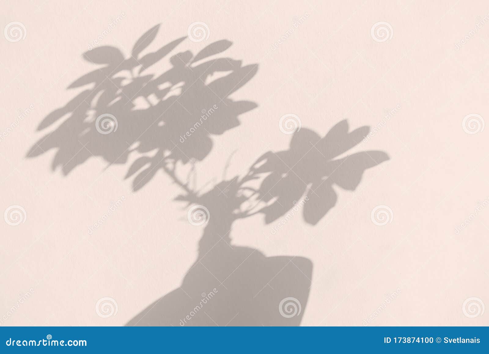 Abstract Background of Tree Shadow on Wall in Light Pink Colors. Modern ...