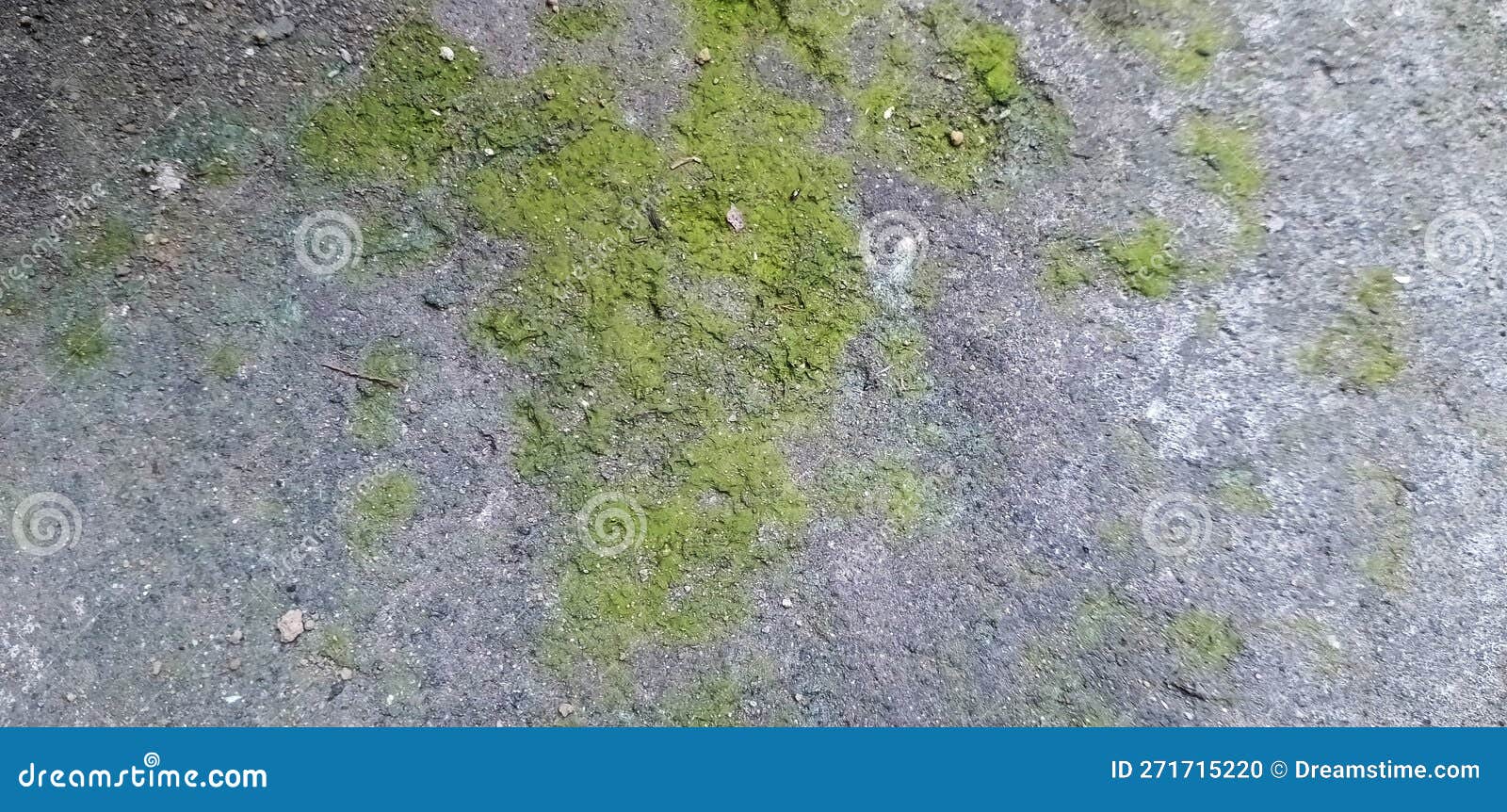 Background is the Basis or Starting Point for Providing Understanding ...