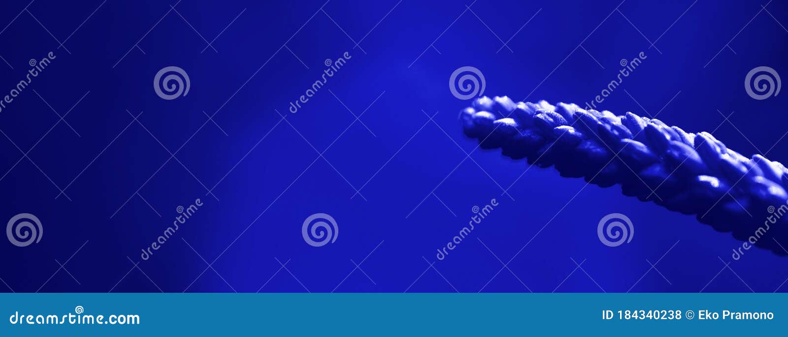 Abstract Background for Web Banners with Phantom Blue Color. Space for ...