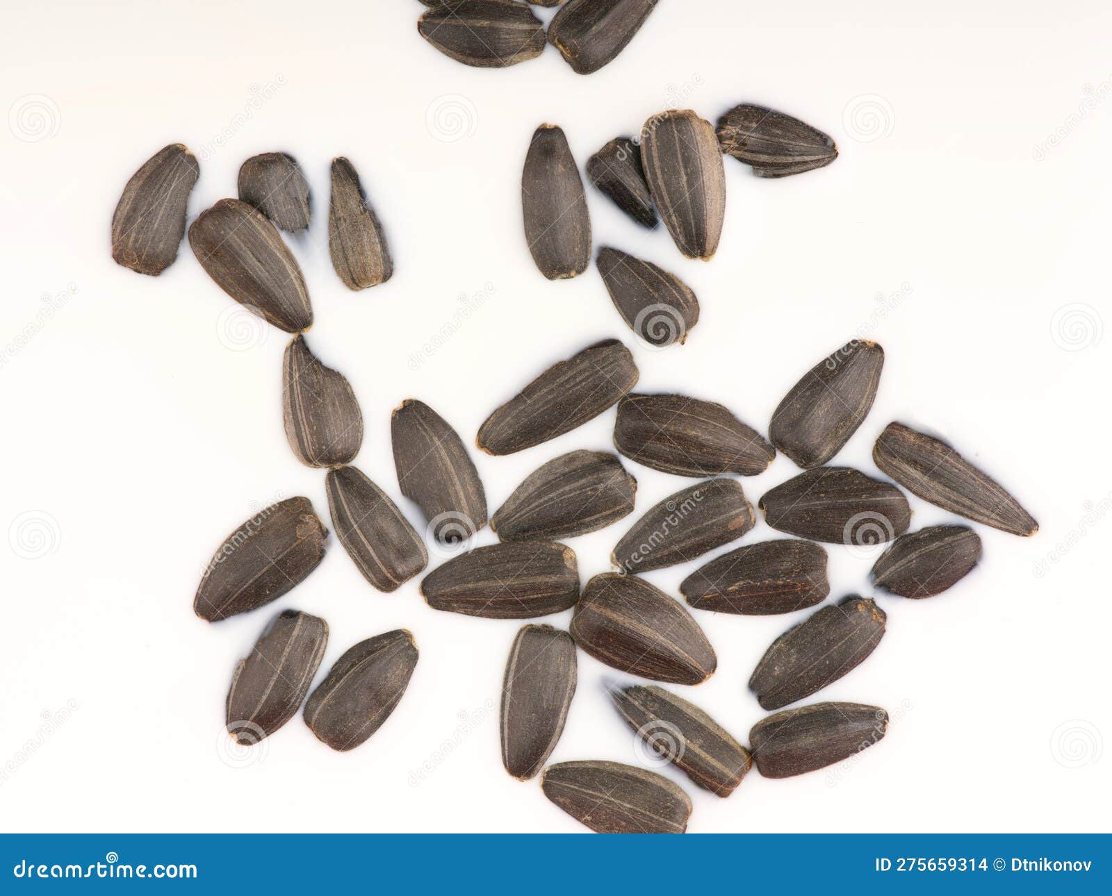 Abstract Background of White Liquid and Small Black Objects Floating in ...