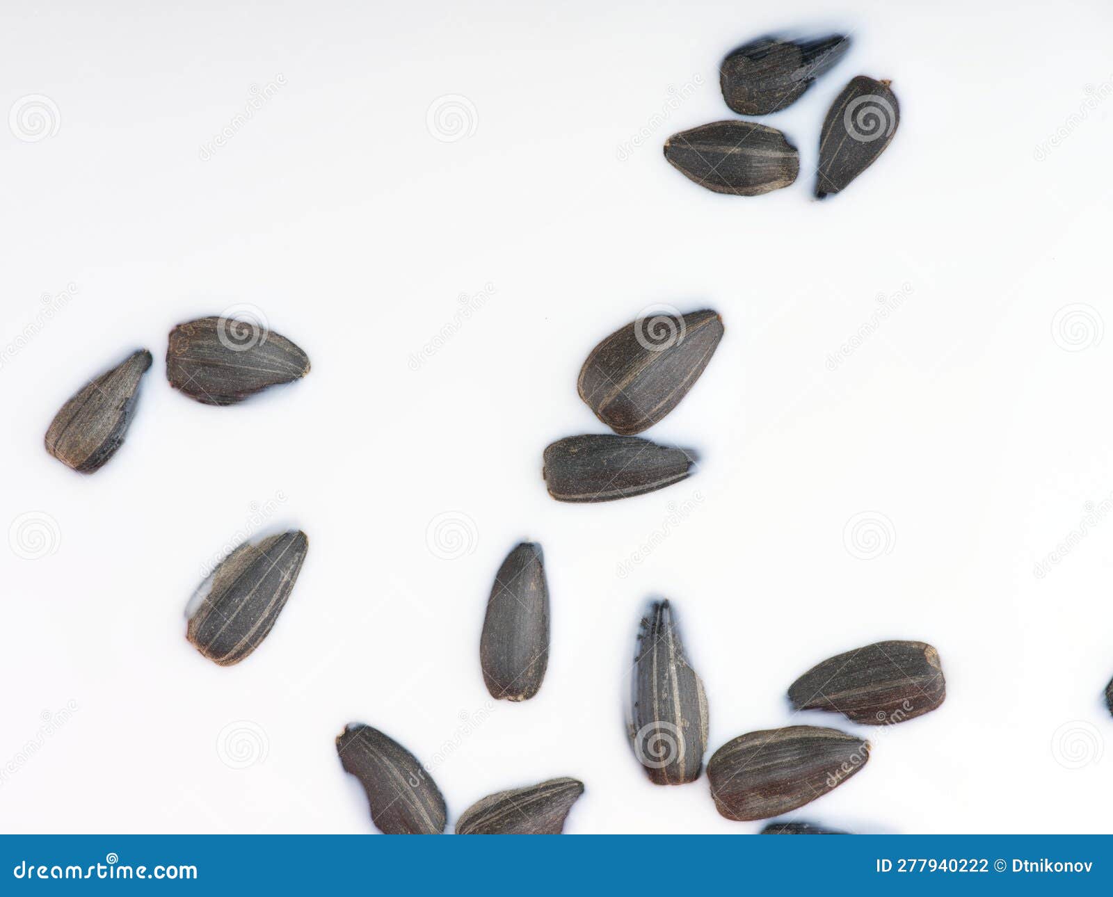 Abstract Background of White Liquid and Small Black Objects Floating in ...