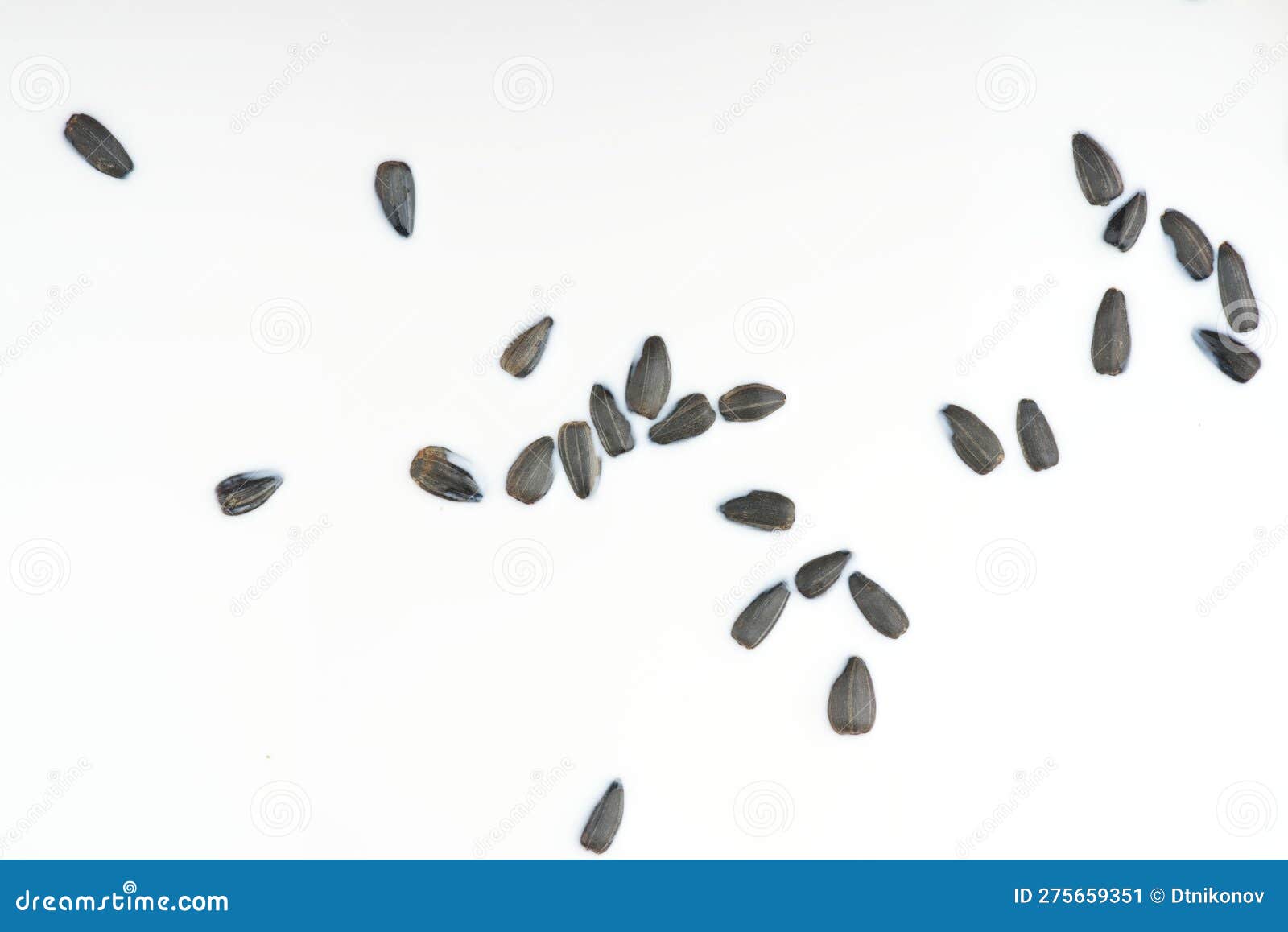 Abstract Background of White Liquid and Small Black Objects Floating in ...