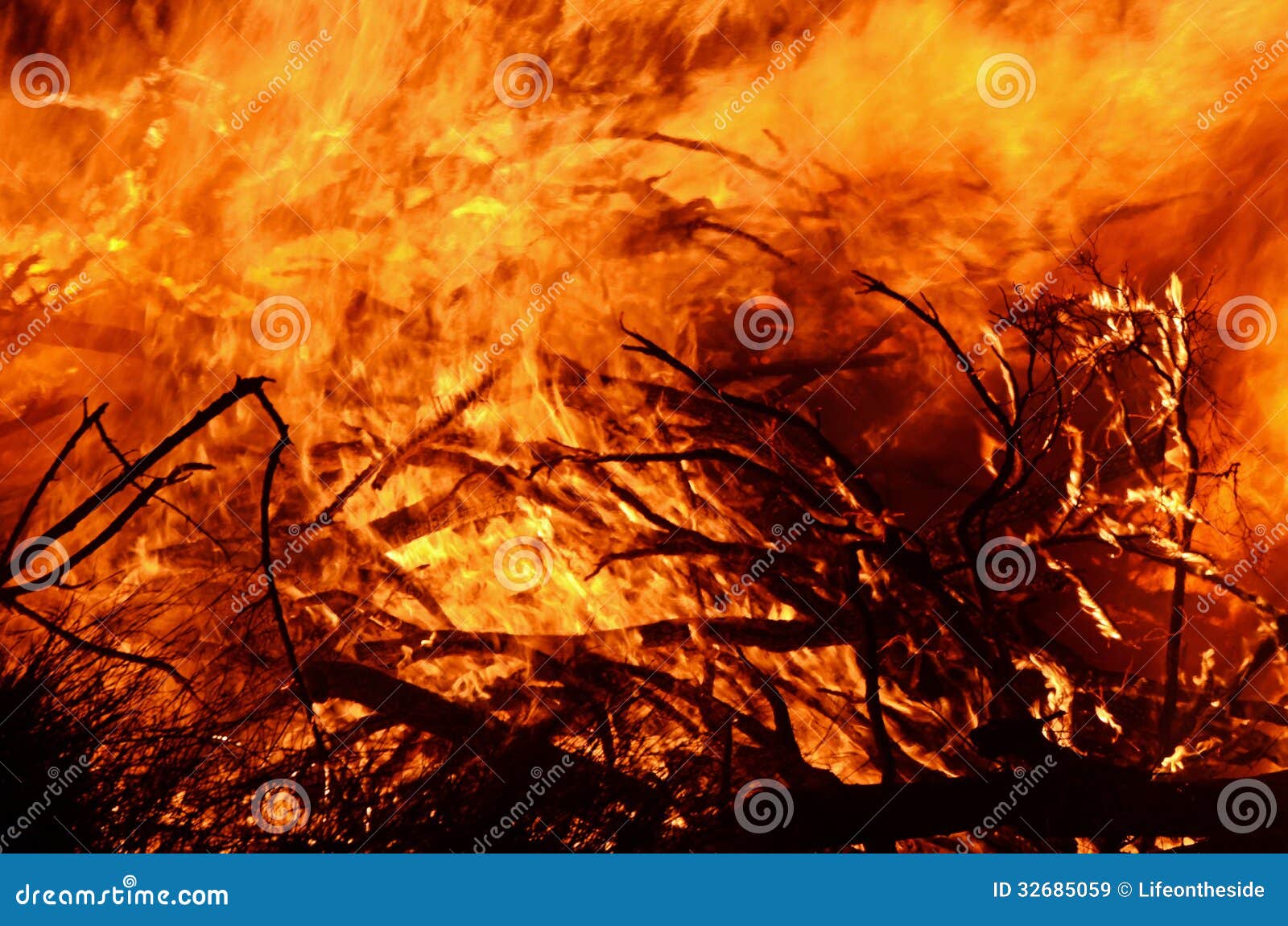 Horrible Forest Fire Stock Photos - Free & Royalty-Free Stock Photos ...