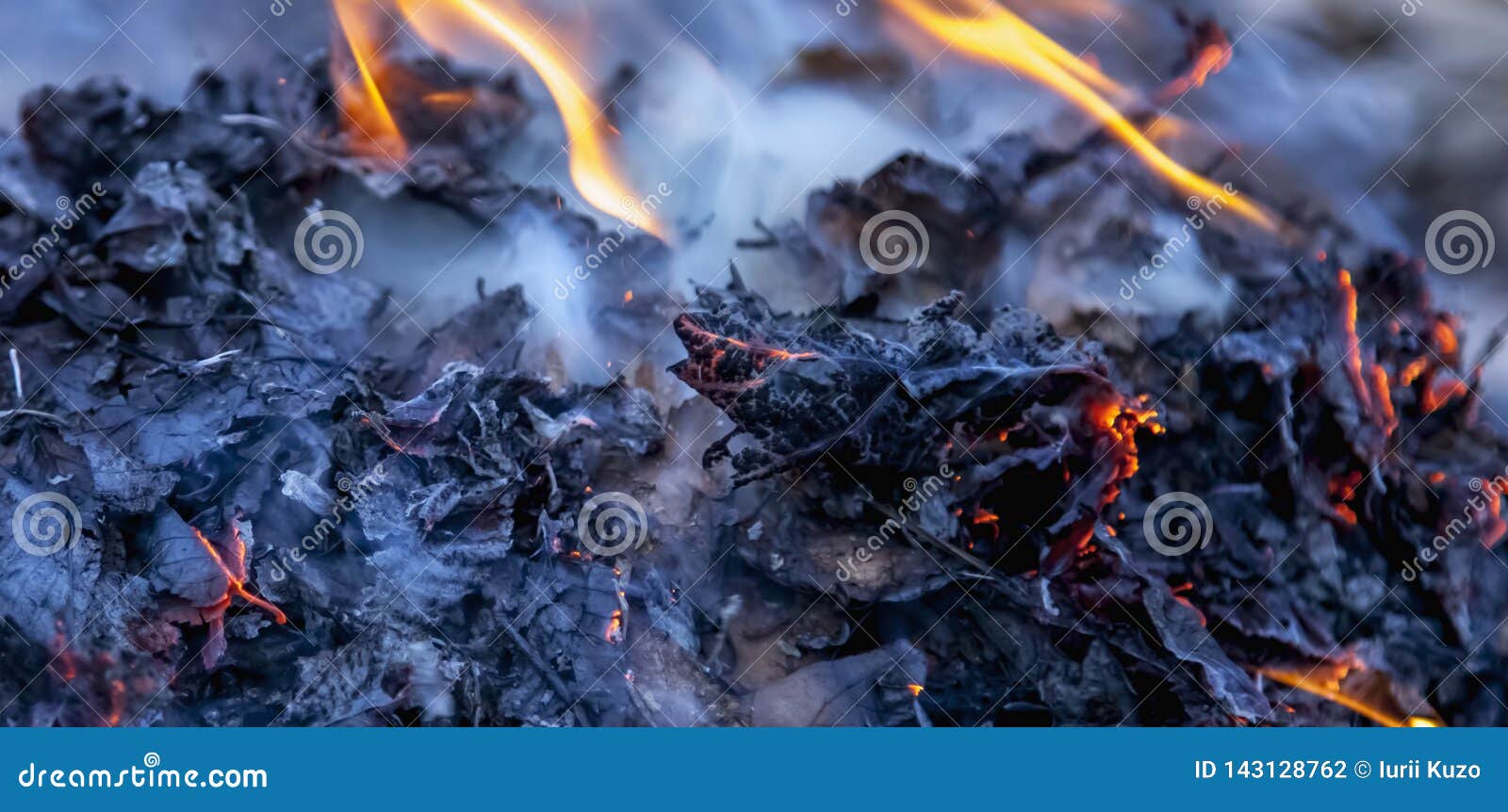 Abstract Background of Wildfire. Intense Smoke and Flames from a Forest ...