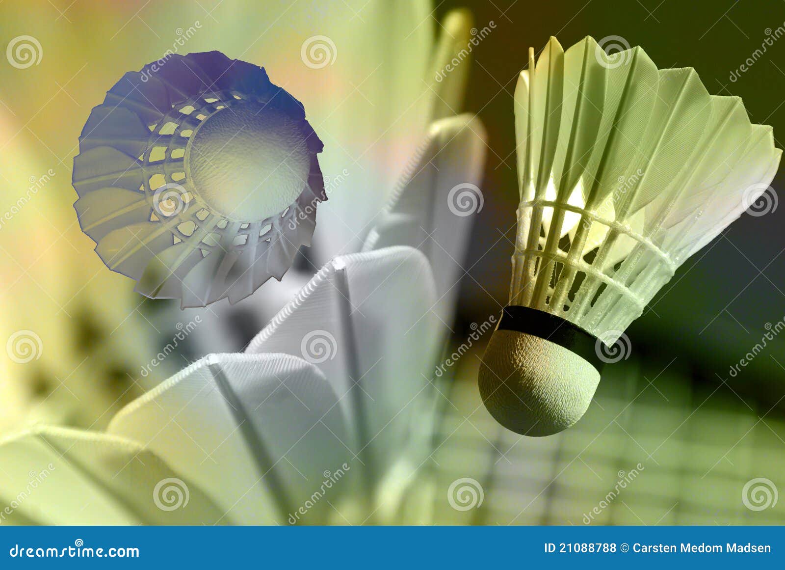 Abstract badminton stock photo. Image of feathers, goose - 21088788