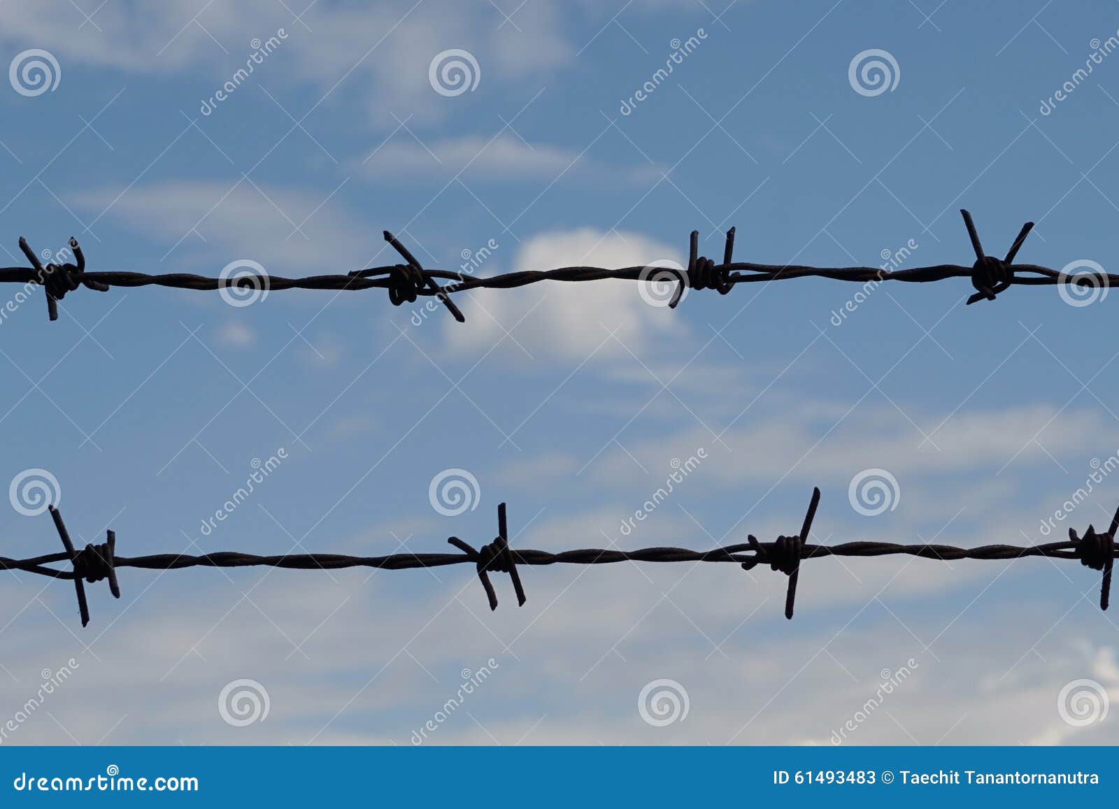 Abstract barbed wire stock image. Image of chain, freedom - 61493483
