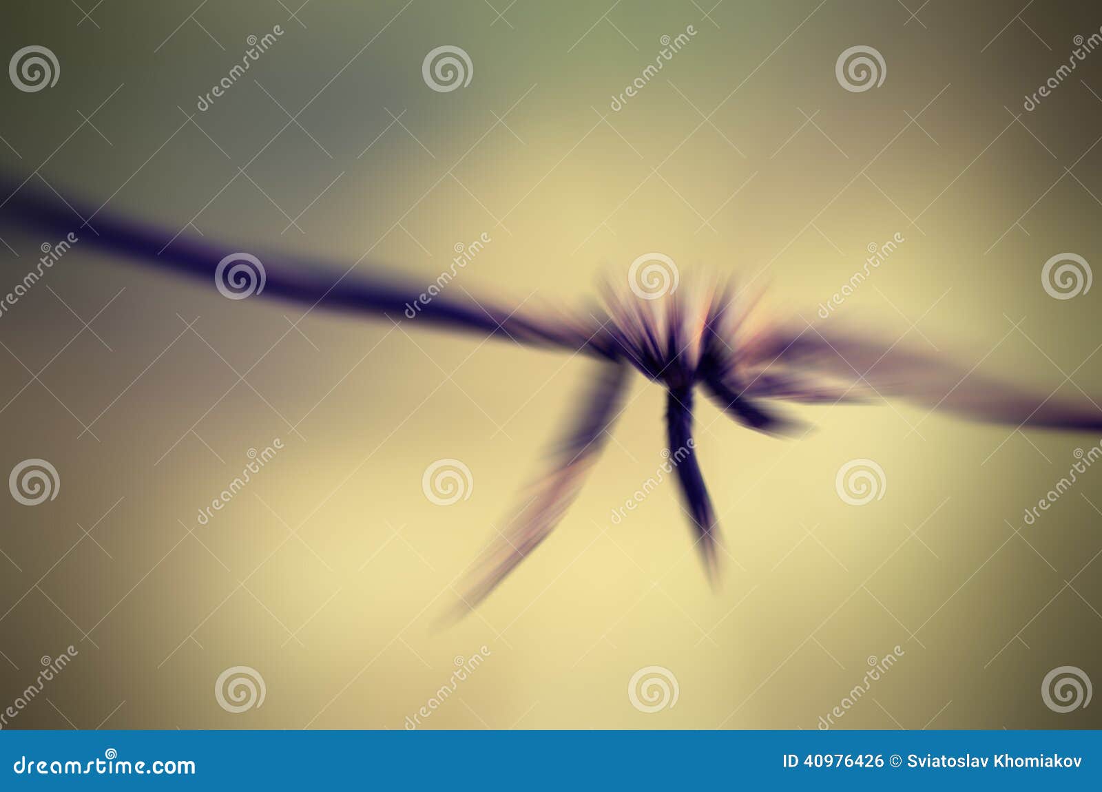 Abstract barbed wire. stock photo. Image of jail, green - 40976426