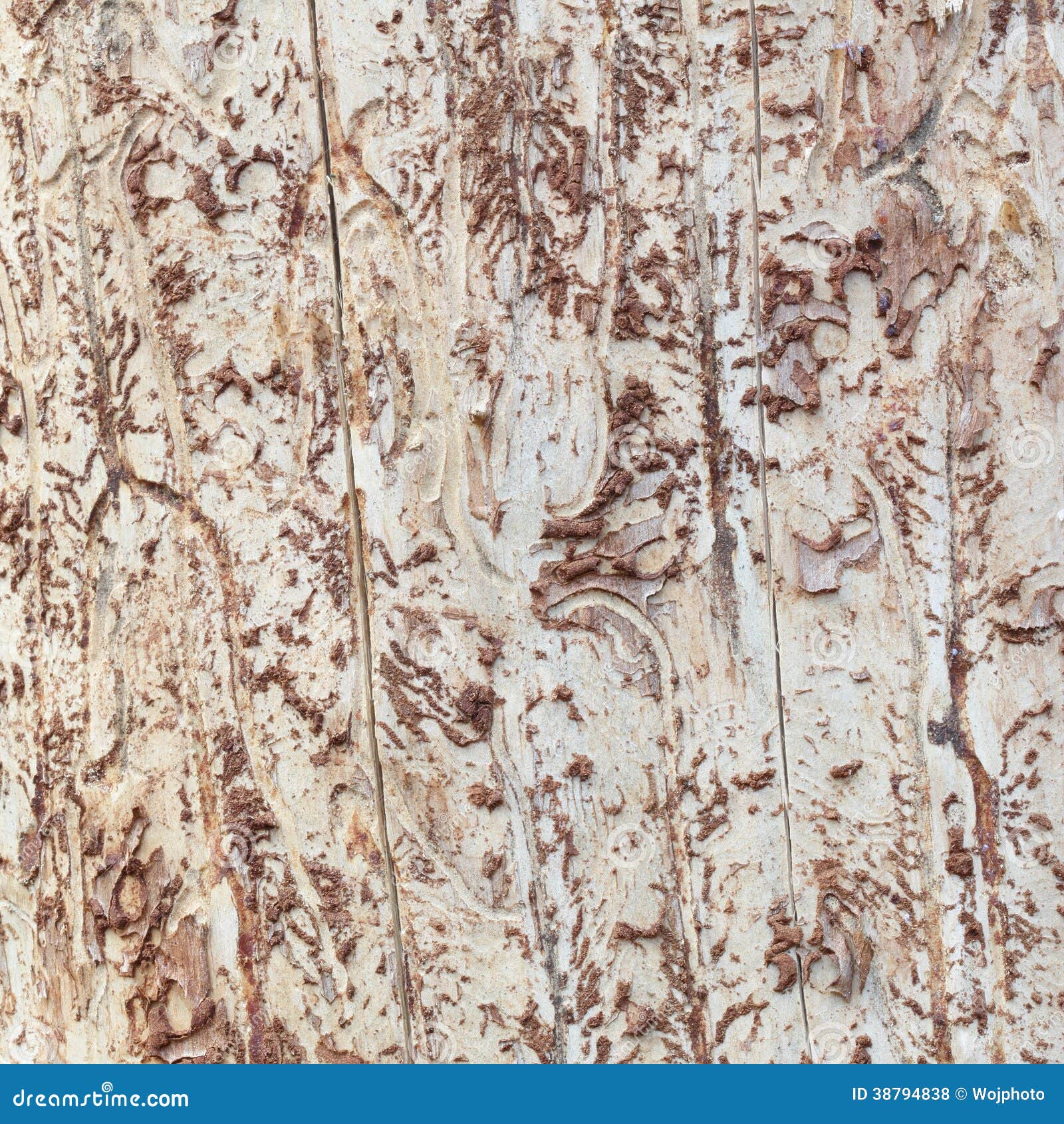 Abstract Bare Coarse Wood Texture Stock Photo - Image of flaked, coarse ...