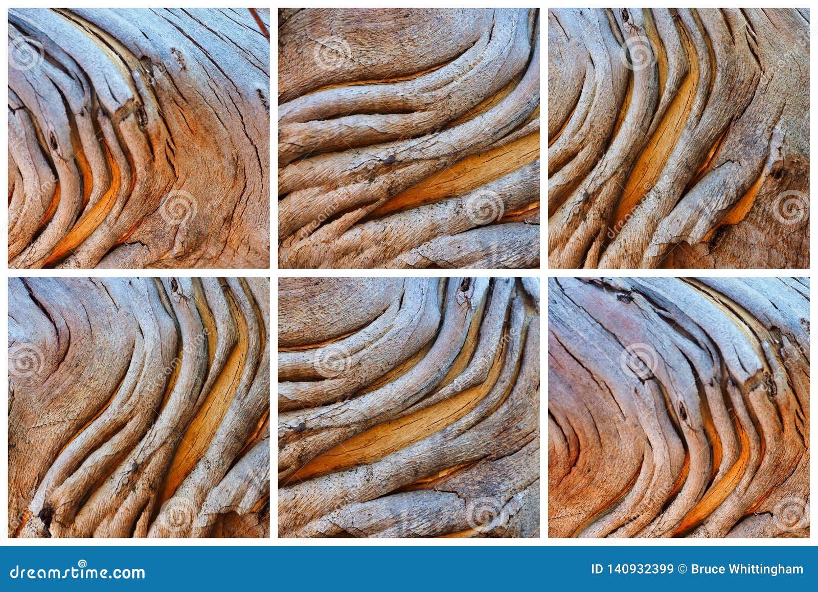 Abstract Bark Pattern Collage, Australian Native Tree Stock Image ...