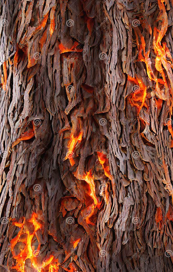 Abstract Bark Tree Background. Bark of Pine, Spruce, Oak. Raster Bitmap ...