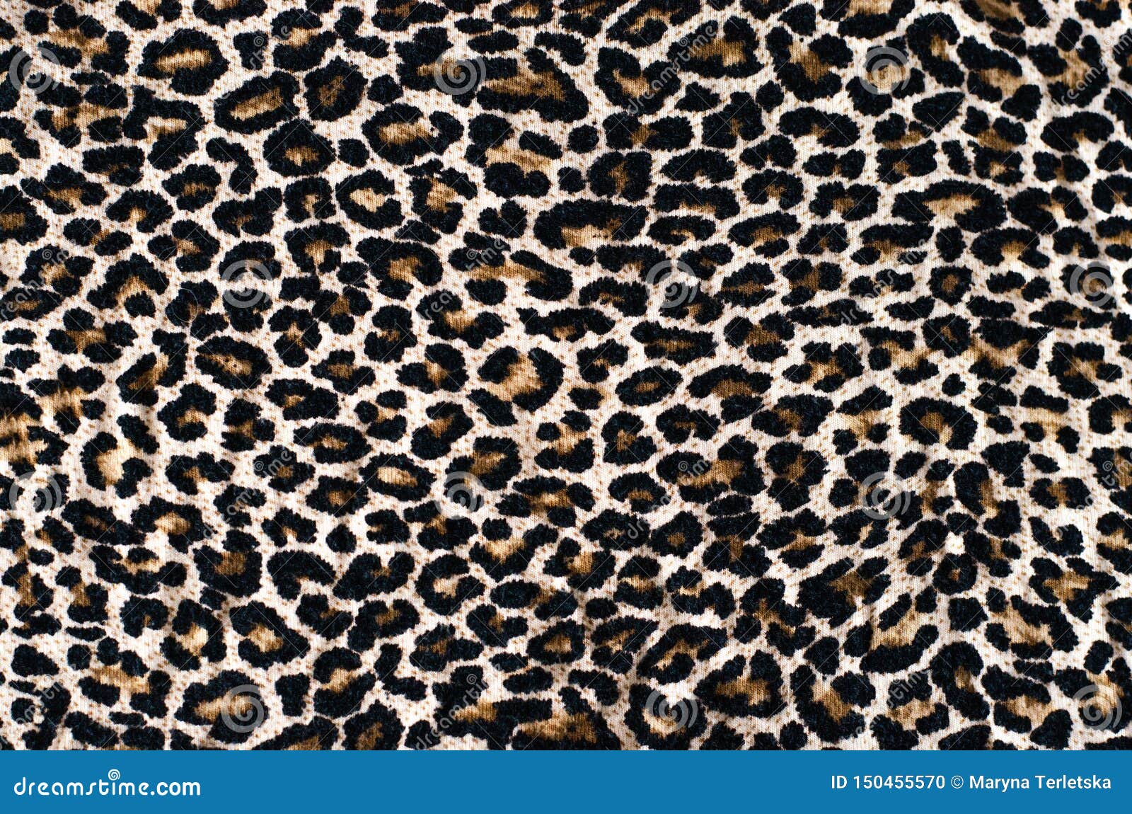 Abstract Beautiful Background of Leopard Print Stock Photo - Image of ...