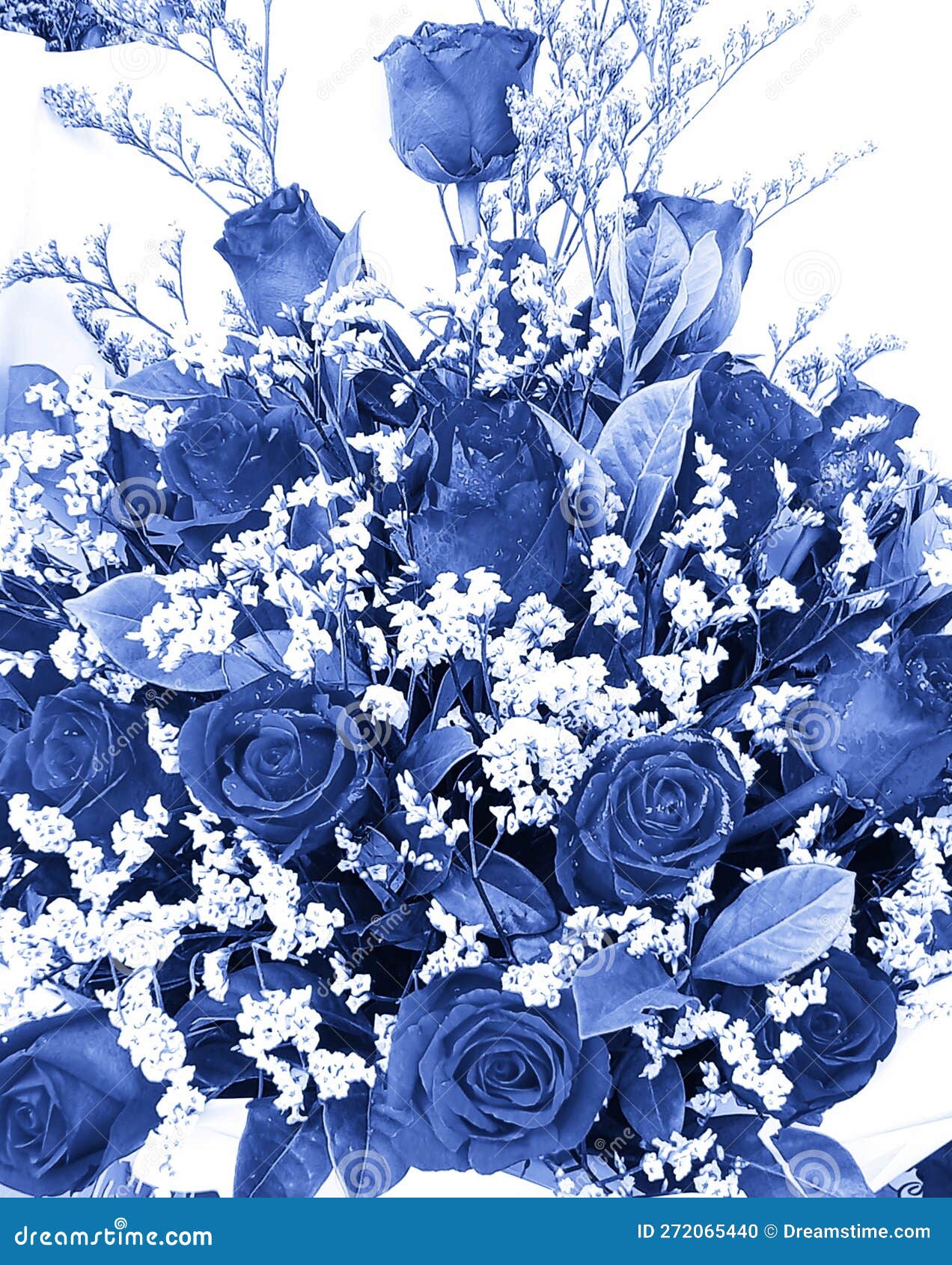 Dark Blue Roses Background