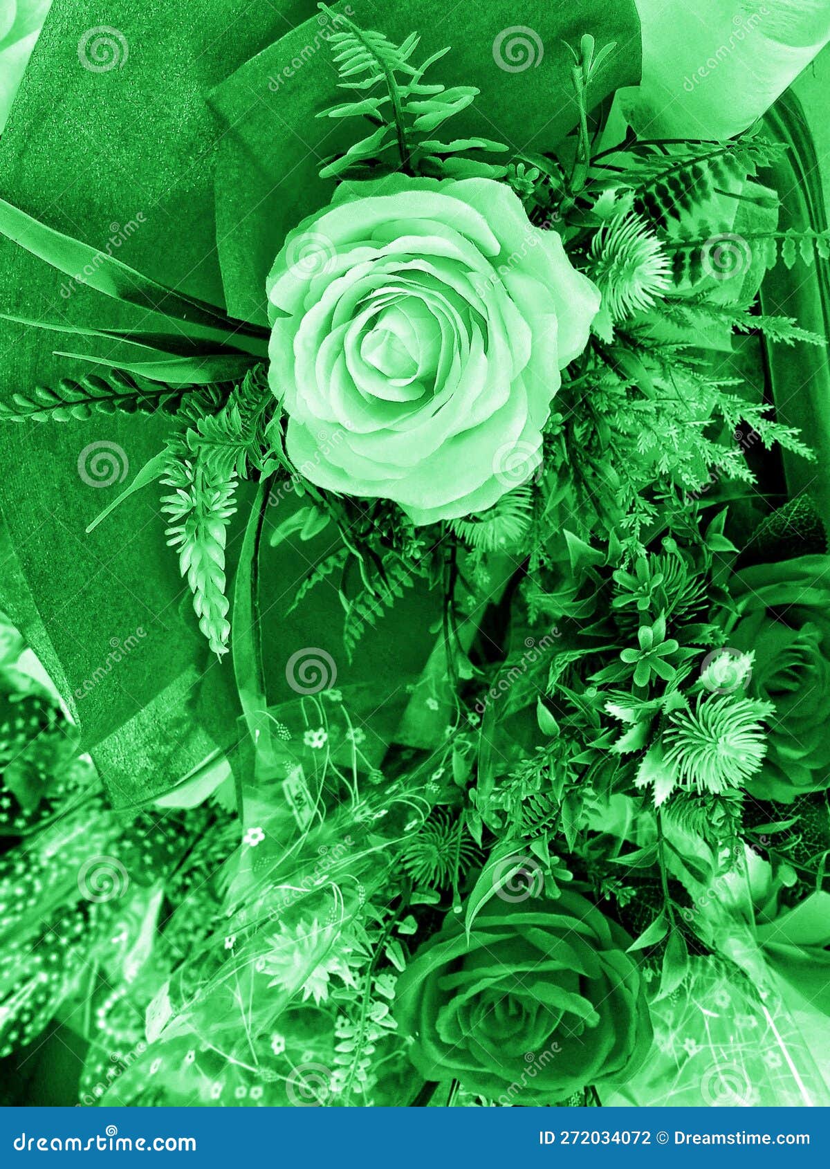 Abstract Beautiful Green Rose Green Textures and Patterns for the ...