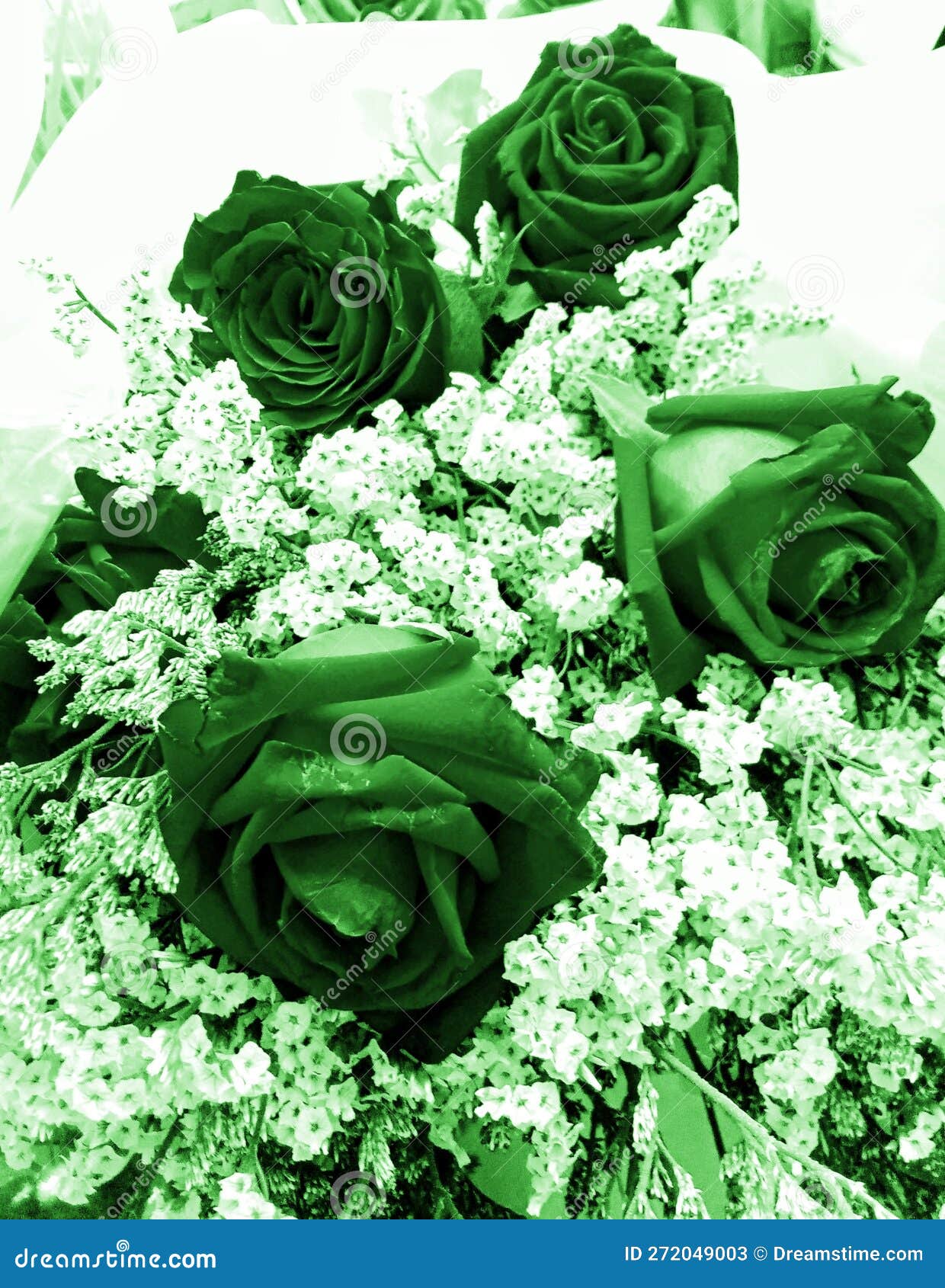 Abstract Beautiful Green Rose Green Textures and Patterns for the ...