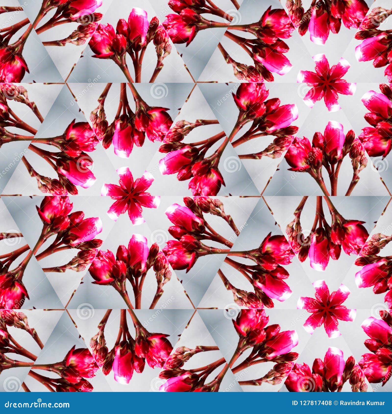 Beautyful Pattern Design stock photo. Image of beautiful - 127817408