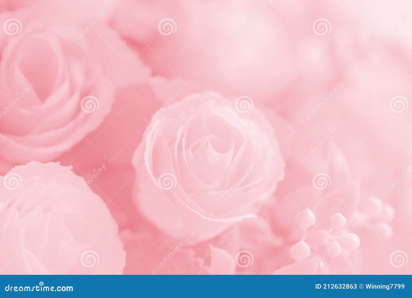 Abstract Beautiful Pink Tone Rose Flower Background. Stock Image ...
