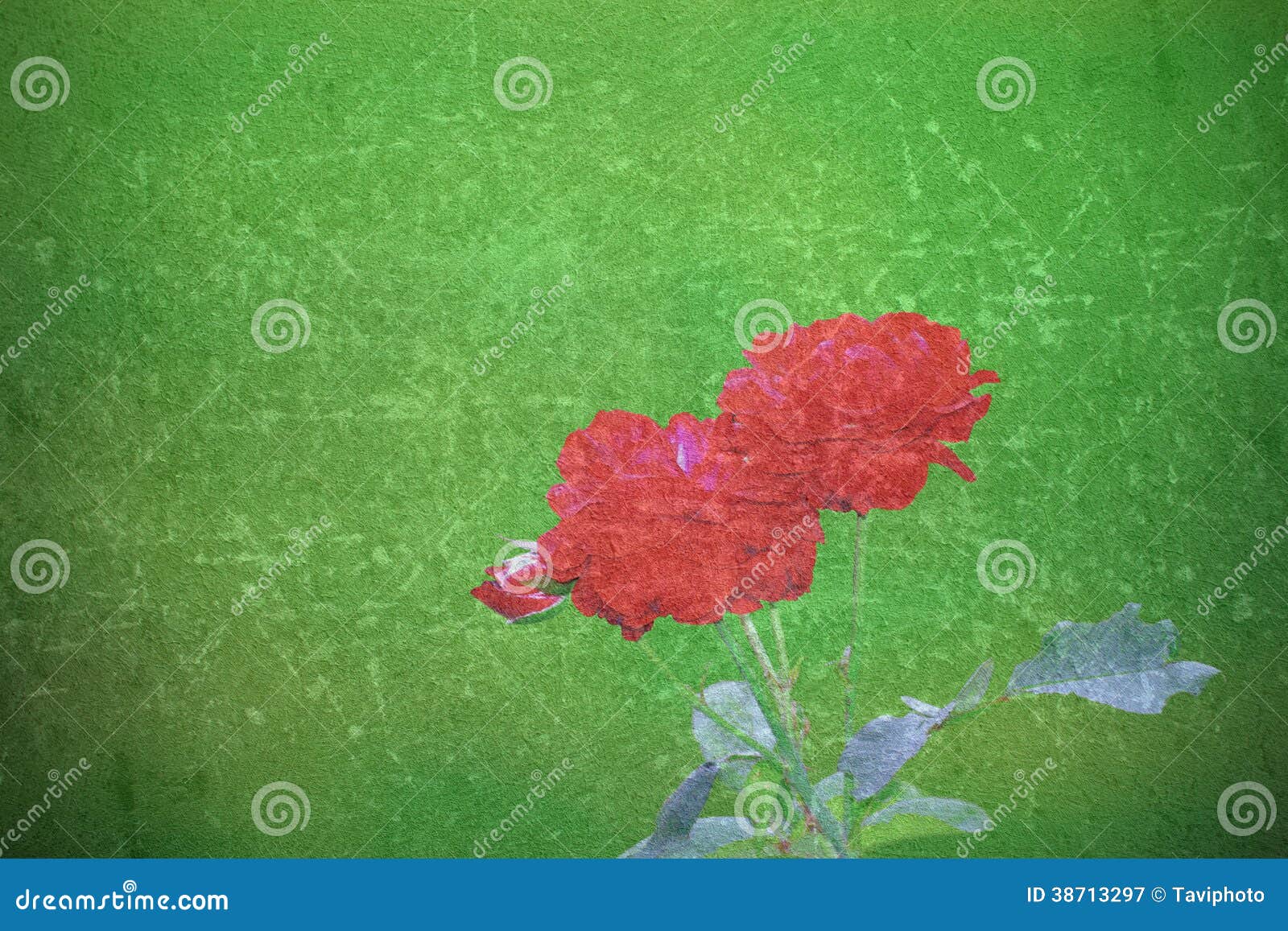 Abstract Beautiful Rose Picture Stock Image - Image of blossom, artwork ...