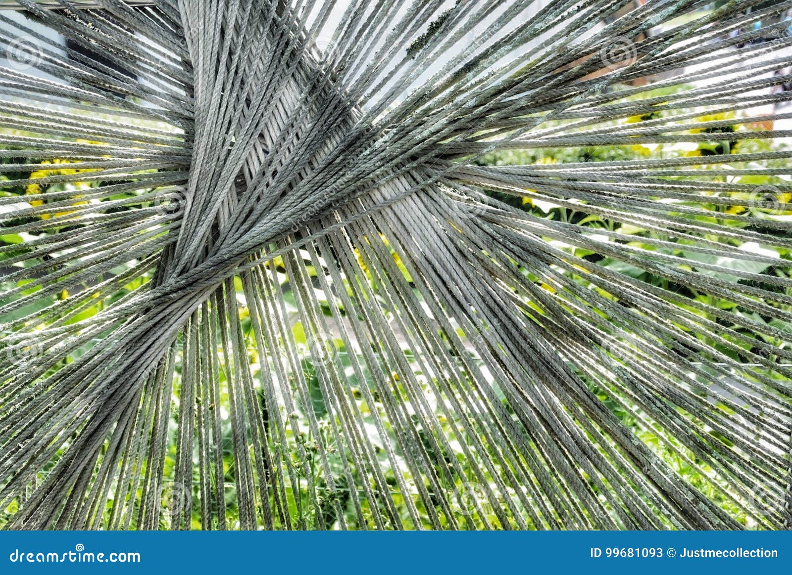 Messed Up 3 stock image. Image of abstract, messed, ropes - 99681093