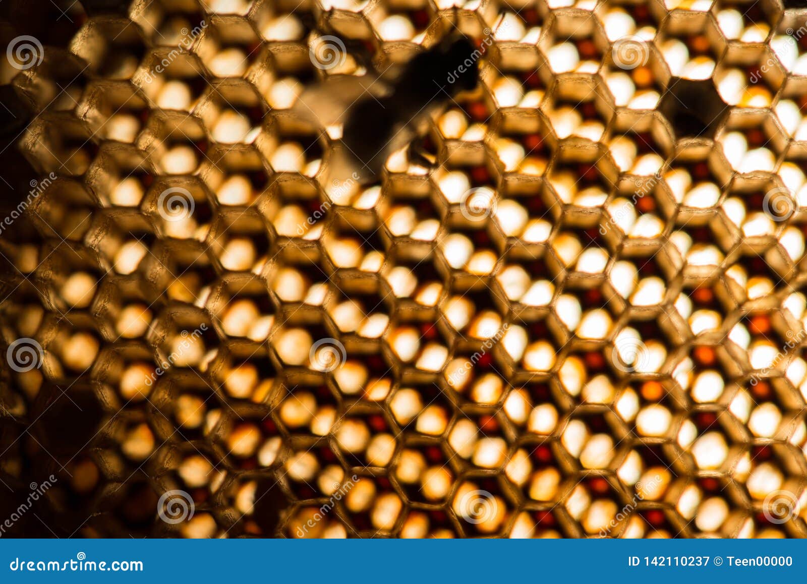 Abstract bee wax texture stock image. Image of cell - 142110237