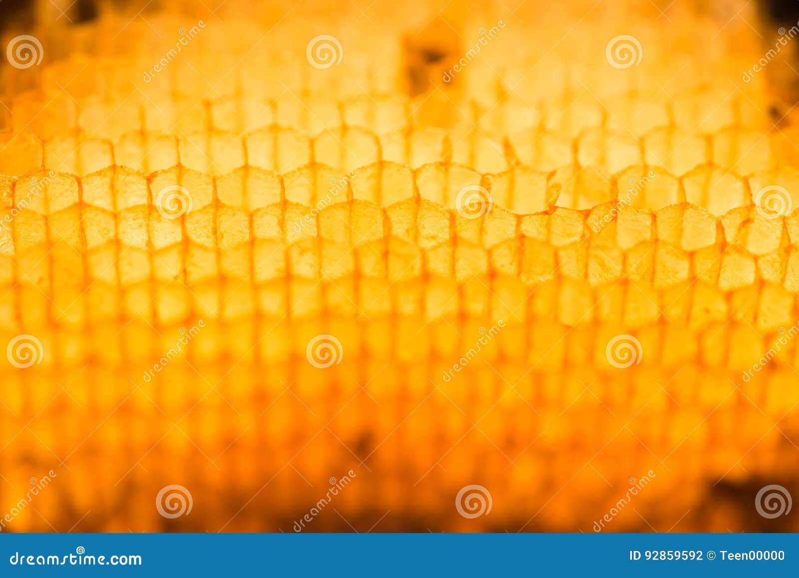 Abstract bee wax texture stock photo. Image of agriculture - 92859592