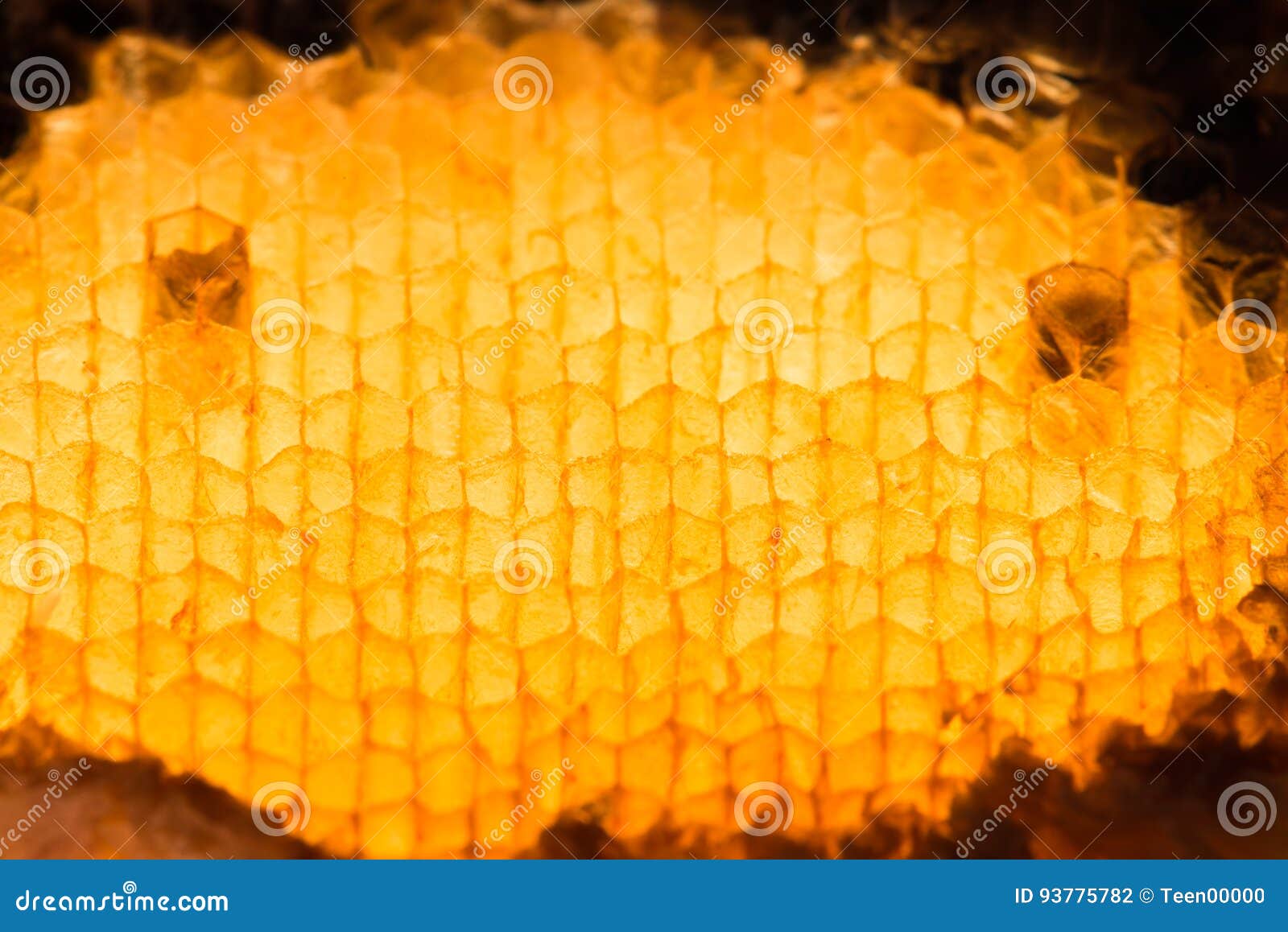 Abstract bee wax texture stock photo. Image of honeycomb - 93775782