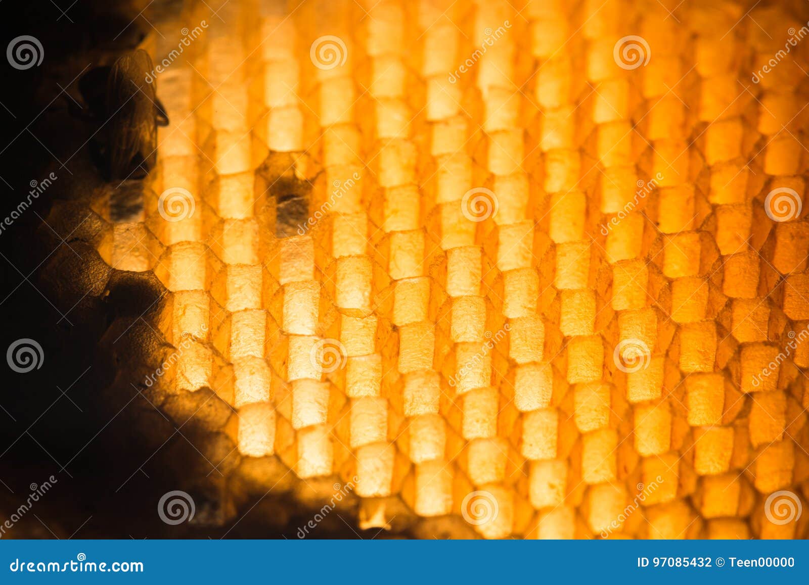 Abstract bee wax texture stock photo. Image of orange - 97085432