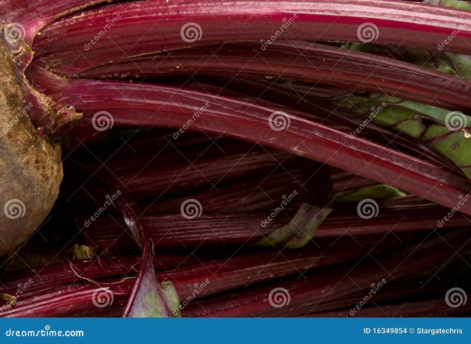 Abstract Beetroot stock photo. Image of purple, nutritious - 16349854
