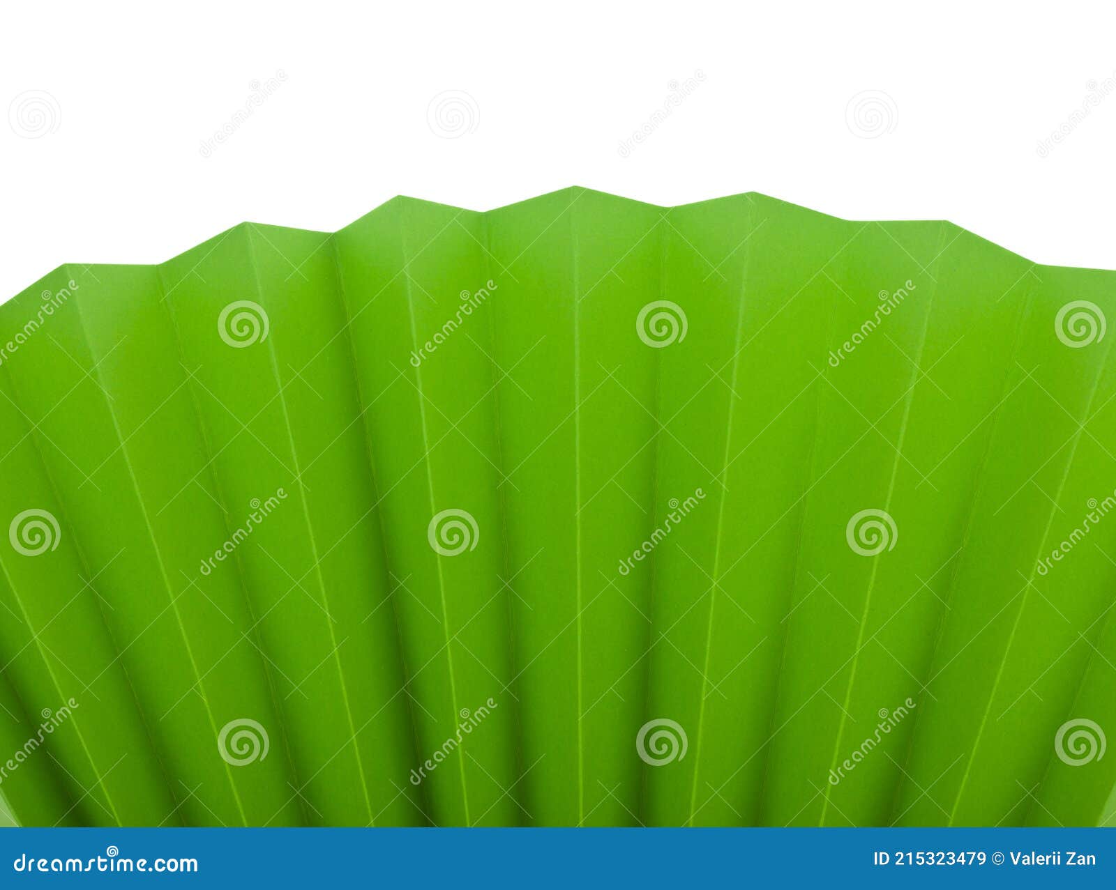 Abstract Bended Green Paper Texture Isolated on White Background Close ...