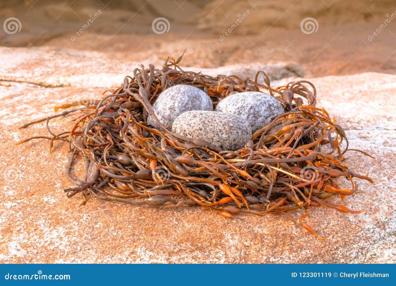 Abstract Bird Nest and Eggs Creation Stock Image - Image of lovely ...