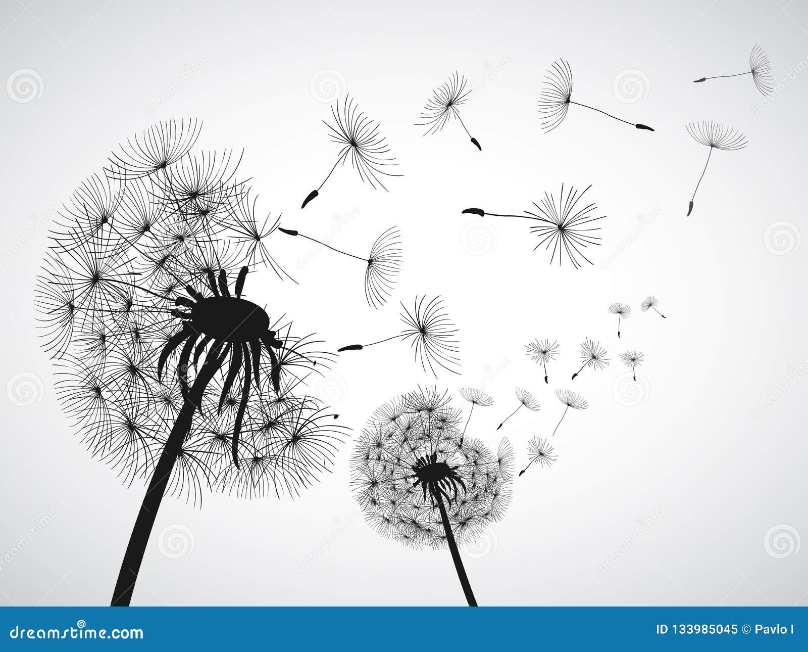 Abstract Black Dandelion, Dandelion with Flying Seeds - Stock Vector ... Abstract Black Dandelion, Dandelion with Flying Seeds - Stock Vector ...