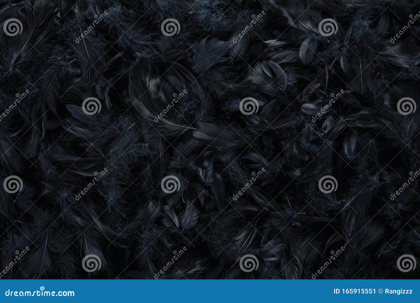 Abstract Black Feather Background, Texture Stock Image - Image of high ...
