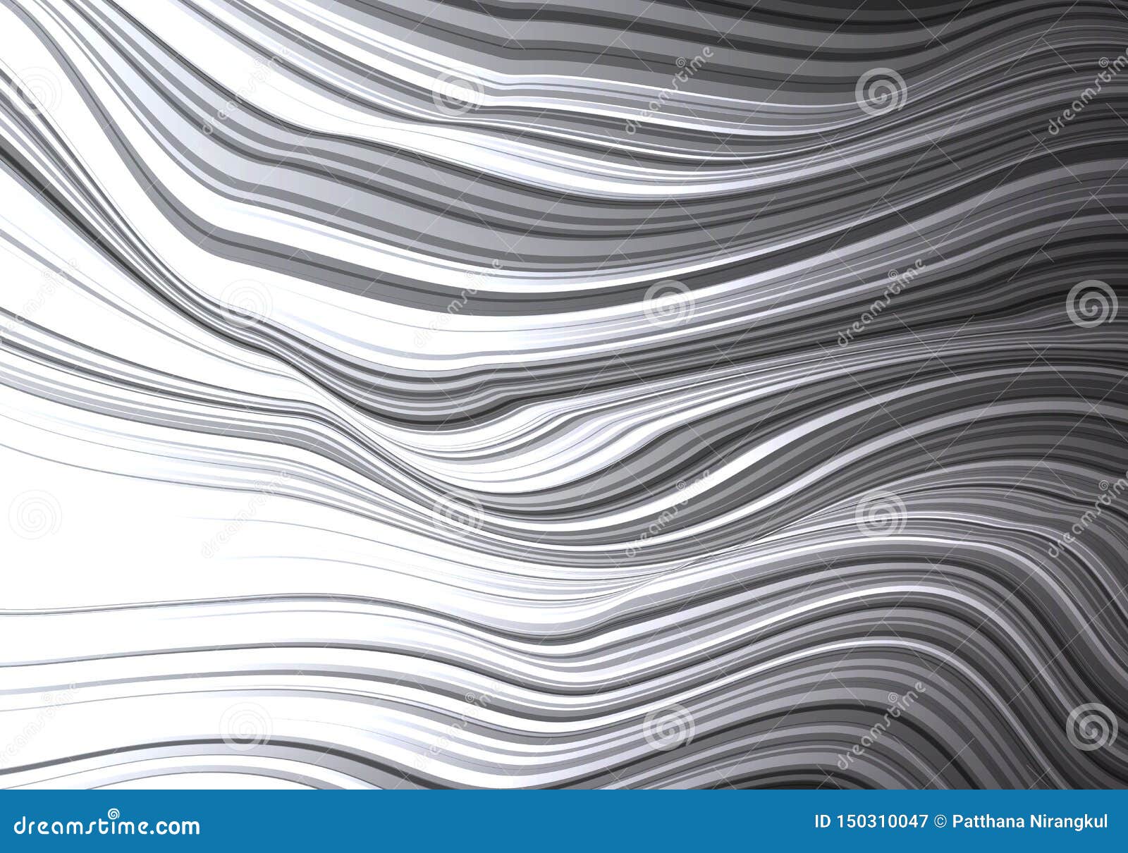 Abstract Black Line Curve 3D Texture on White Background Vector Stock ...